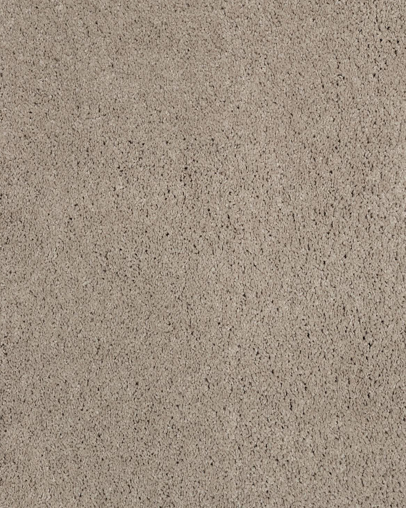 Karastan Impressive Character Sandy Cove | Carpet Exchange