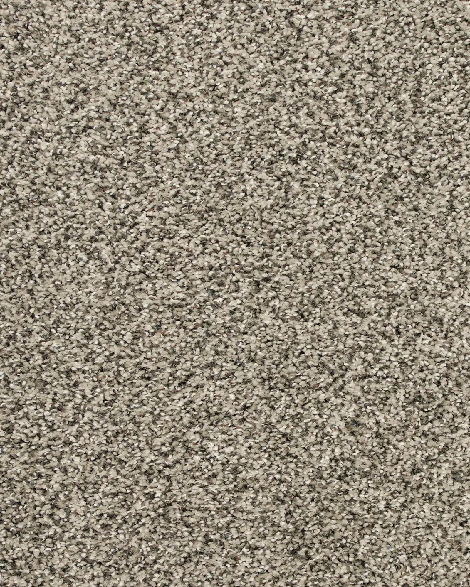 Karastan Instinctive Classic Full Moon SmartStrand | Carpet Exchange