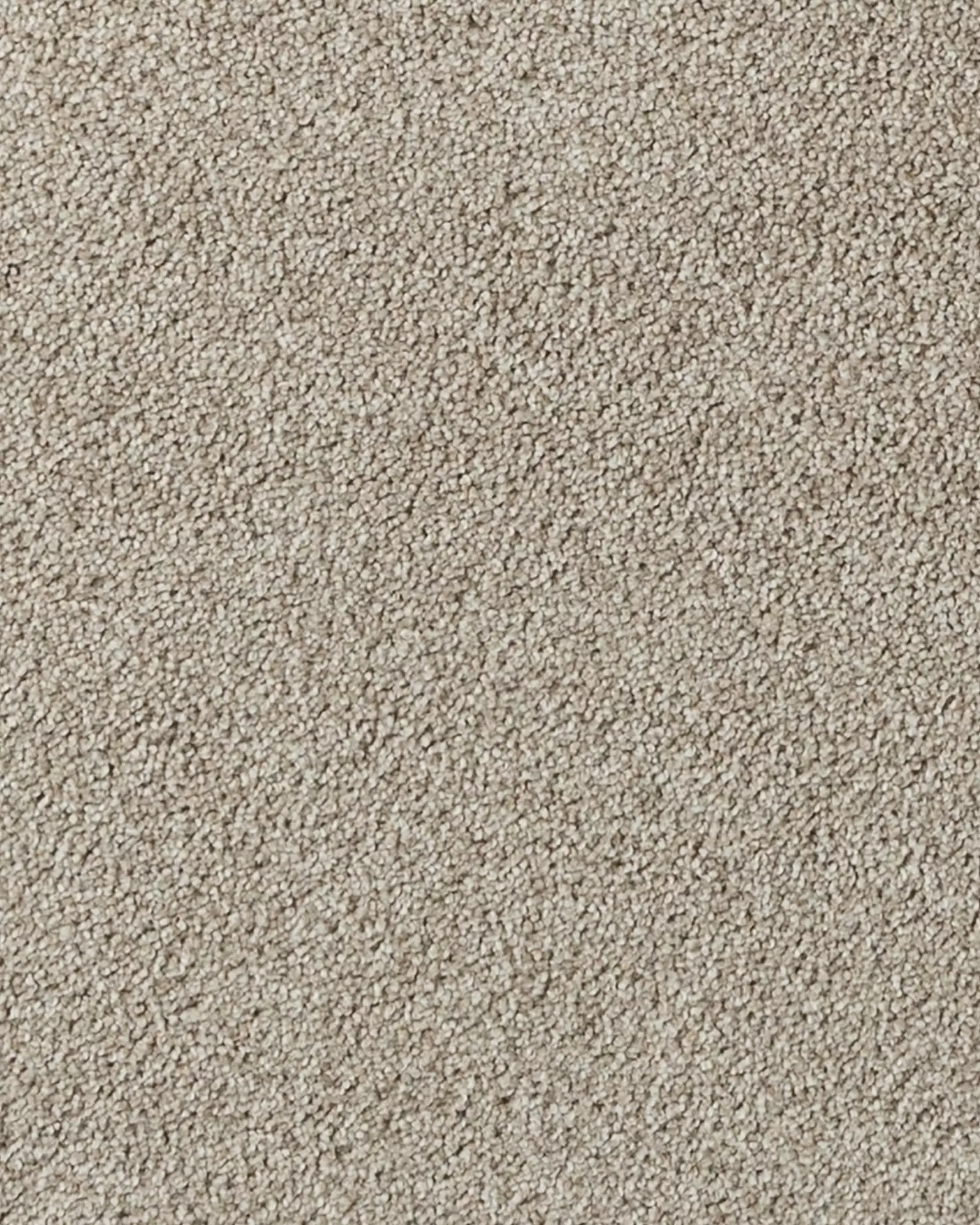 Karastan Salinas Valley I Humarock SmartStrand | Carpet Exchange