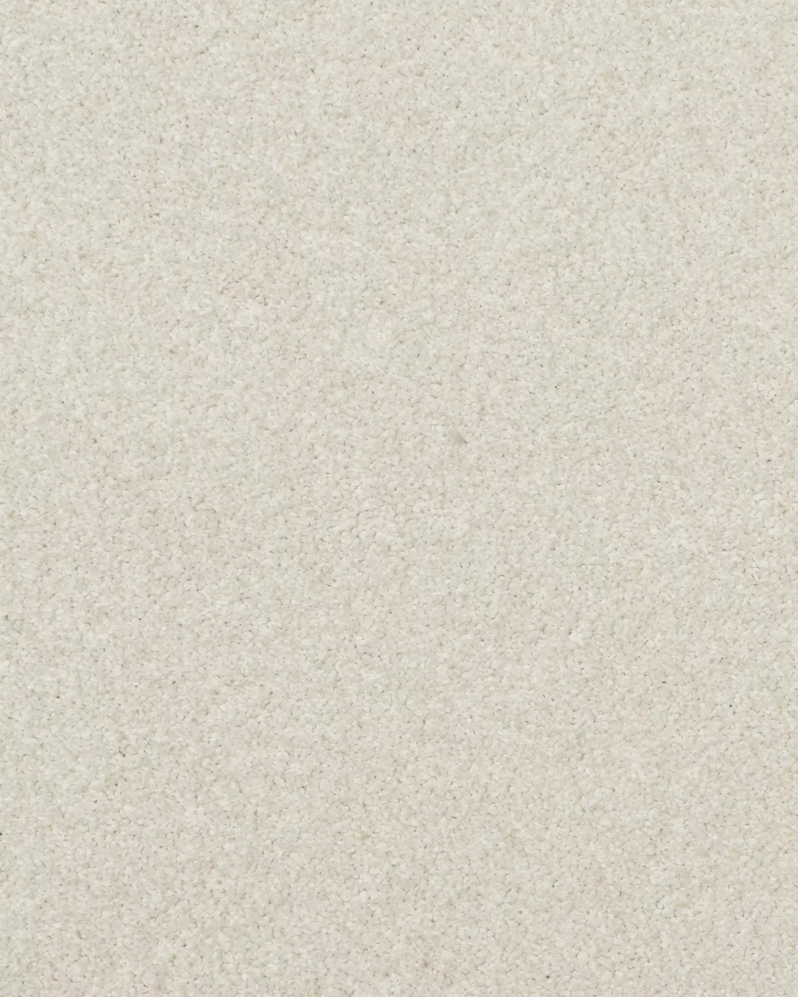 Karastan Delicate Shades Jasmine SmartStrand | Carpet Exchange