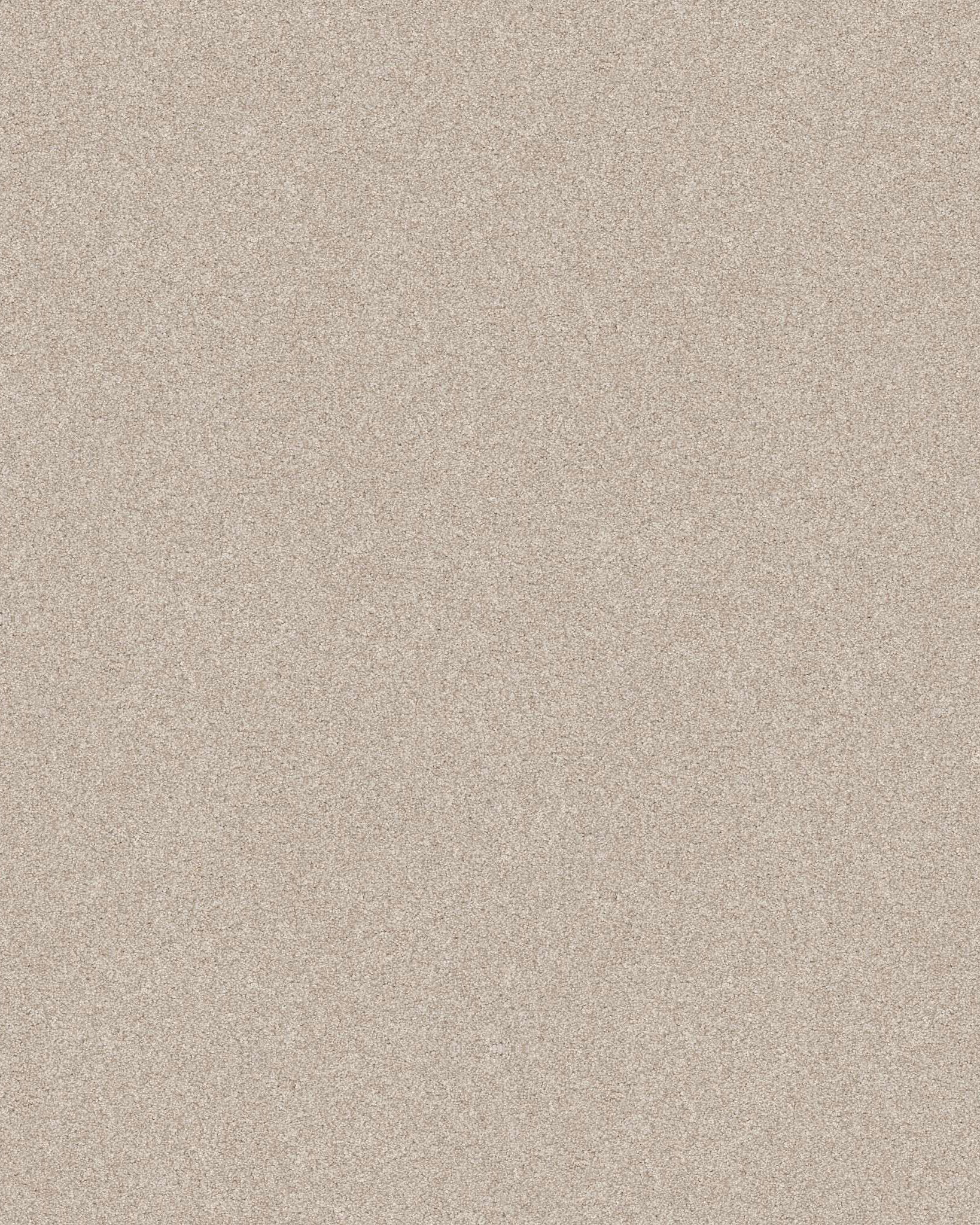 Shaw Keystone II Champagne Toast | Carpet Exchange Shaw Keystone II Champagne Toast | Carpet Exchange