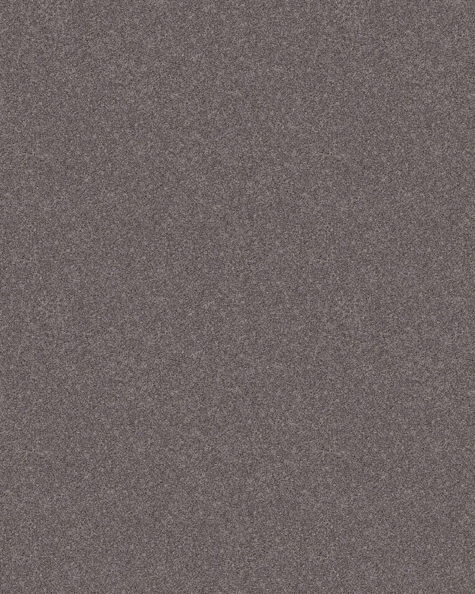 Shaw Keystone II Deep Connection | Carpet Exchange Shaw Keystone II Deep Connection | Carpet Exchange