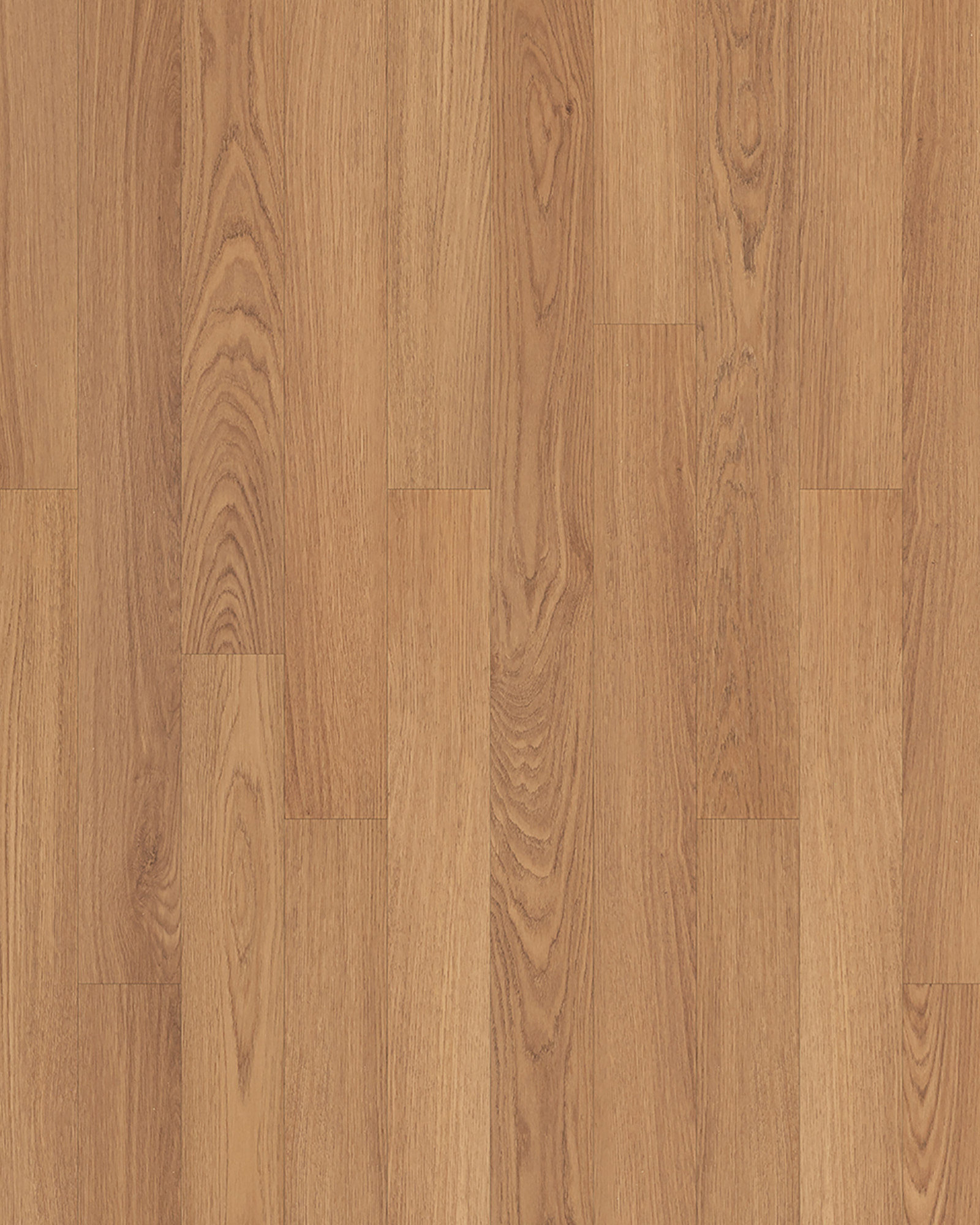 Karastan Summerhill Chase 5" Baylor | Carpet Exchange