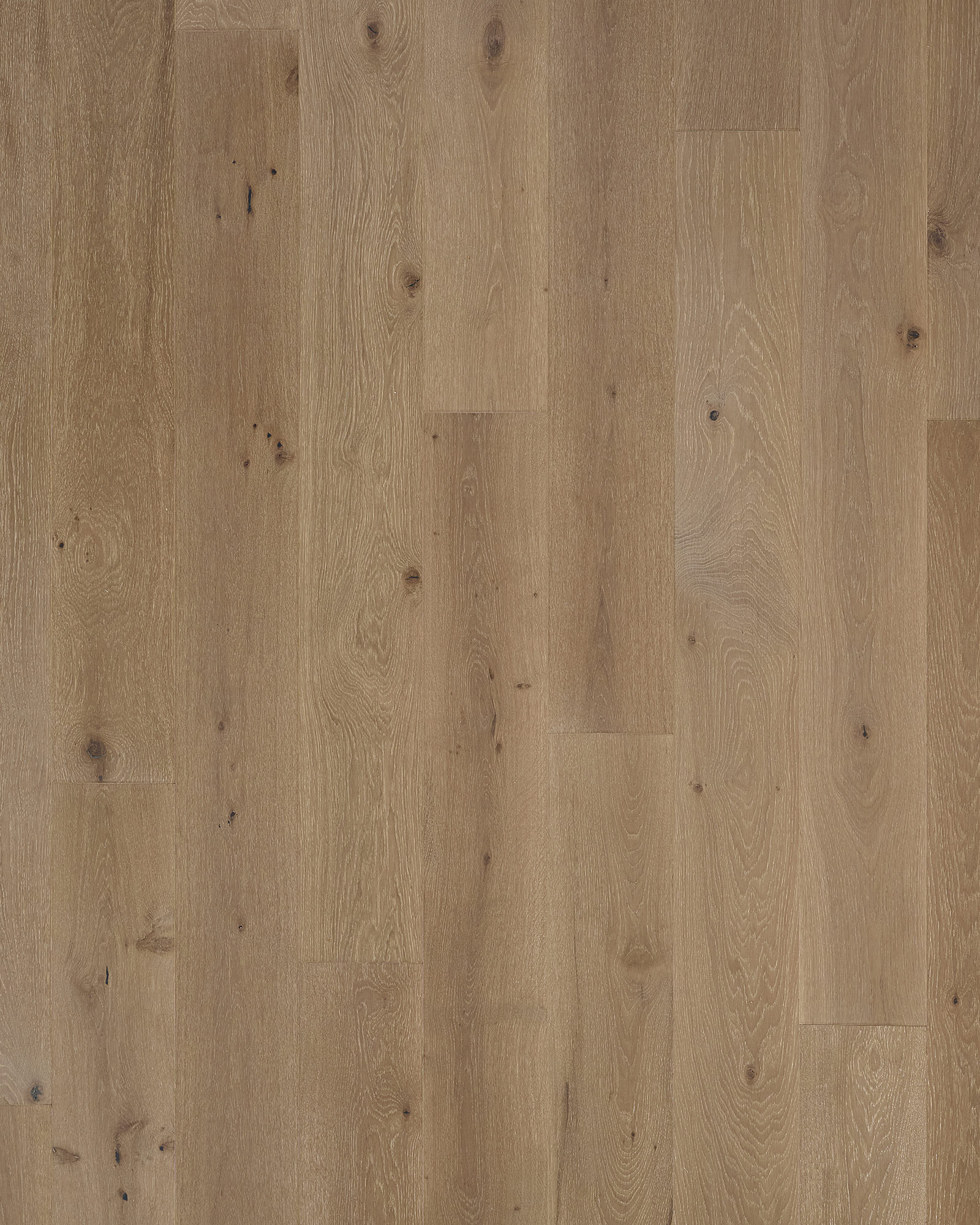 Karastan Chateau Loraine Stone Terrace White Oak Hardwood