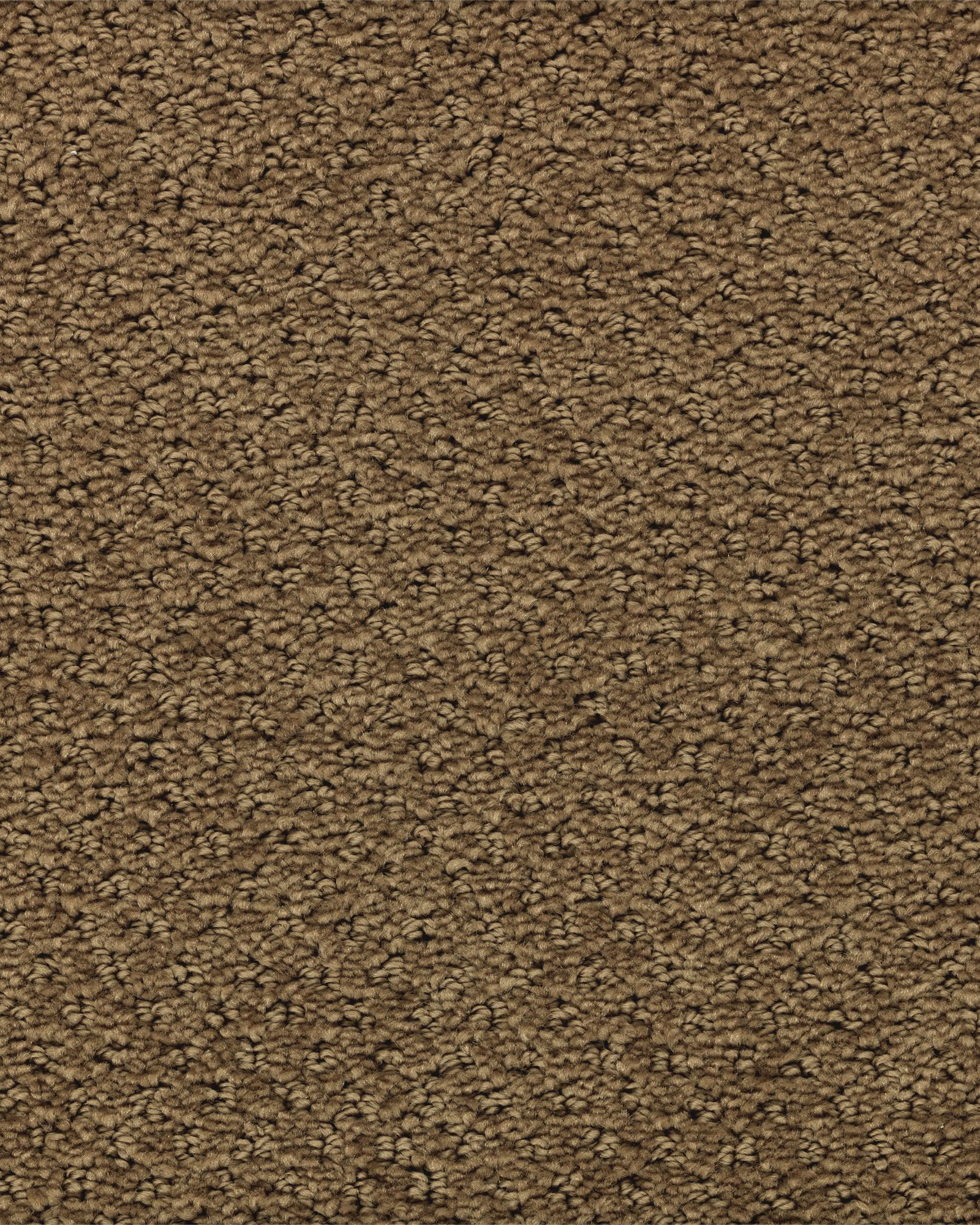 Karastan Kingsbury Castle Thatch Brown | Carpet Exchange