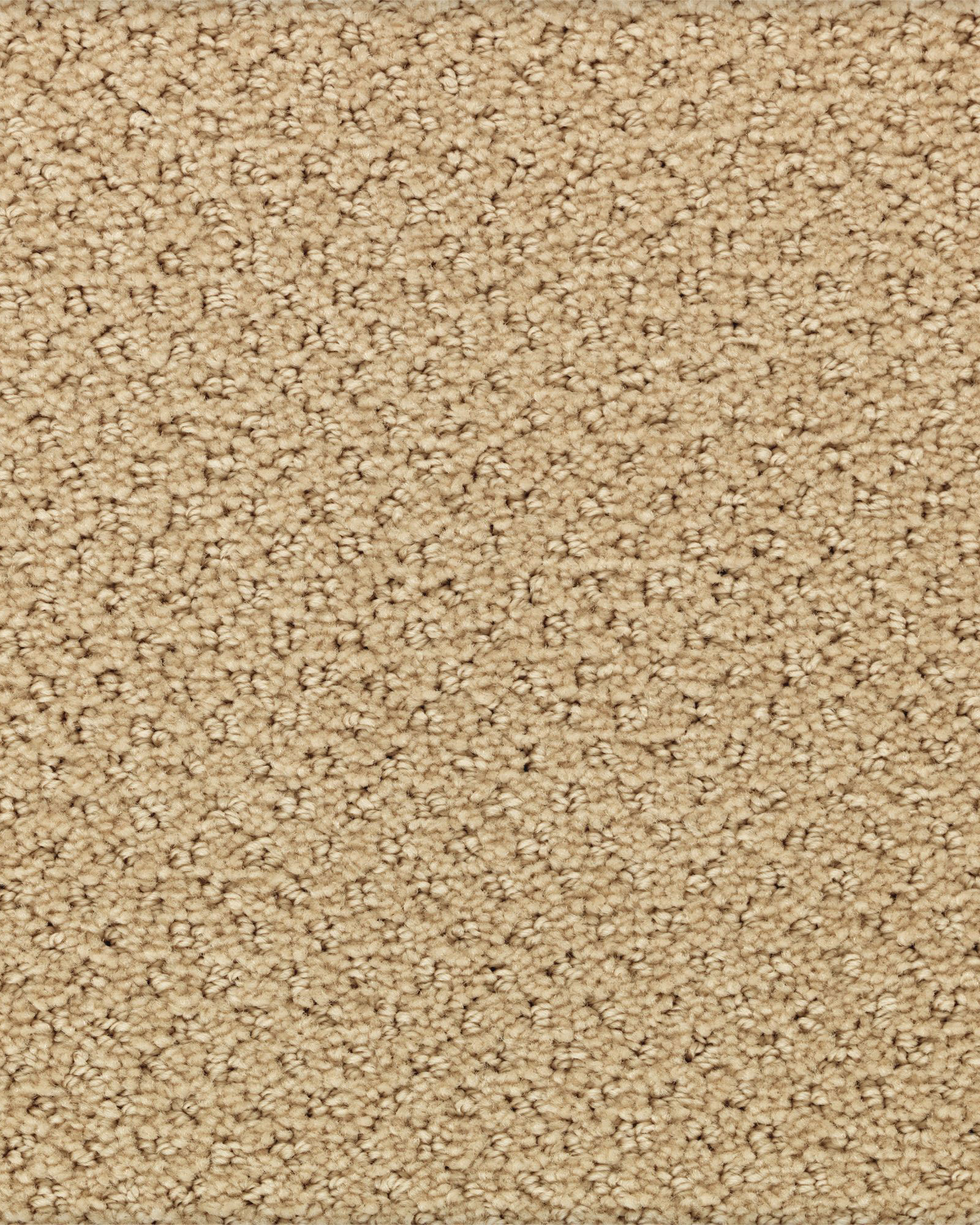 Karastan SmartStrand Kingsbury Castle | Carpet Exchange