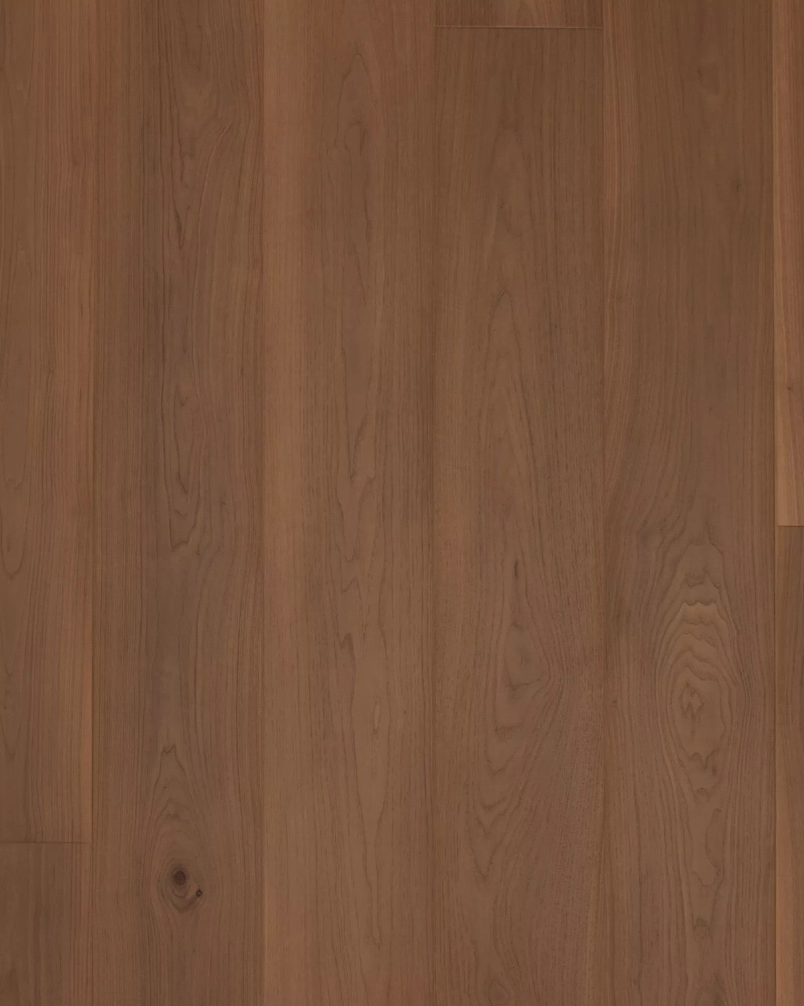 Karastan Danbury Alcove Cocoa Rich Walnut | Carpet Exchange