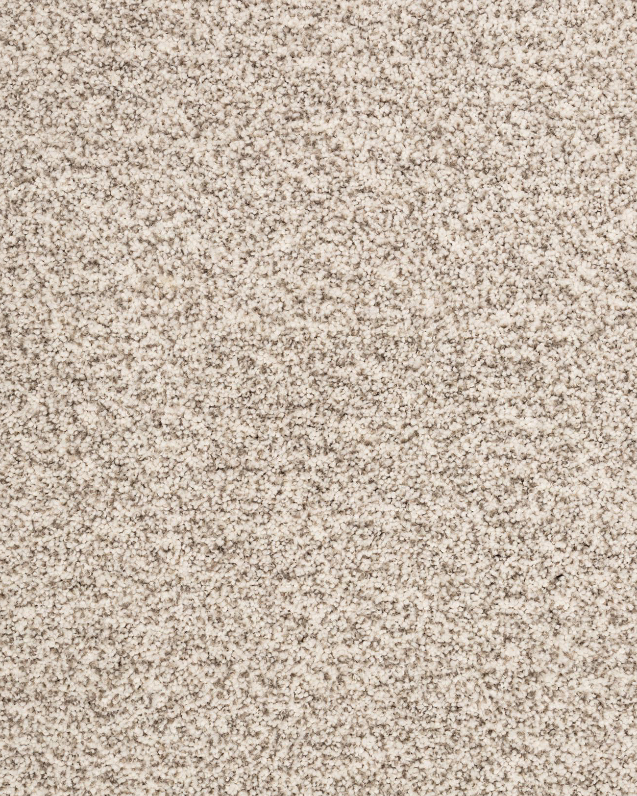 Shop Karastan Carpet Flooring | Carpet Exchange