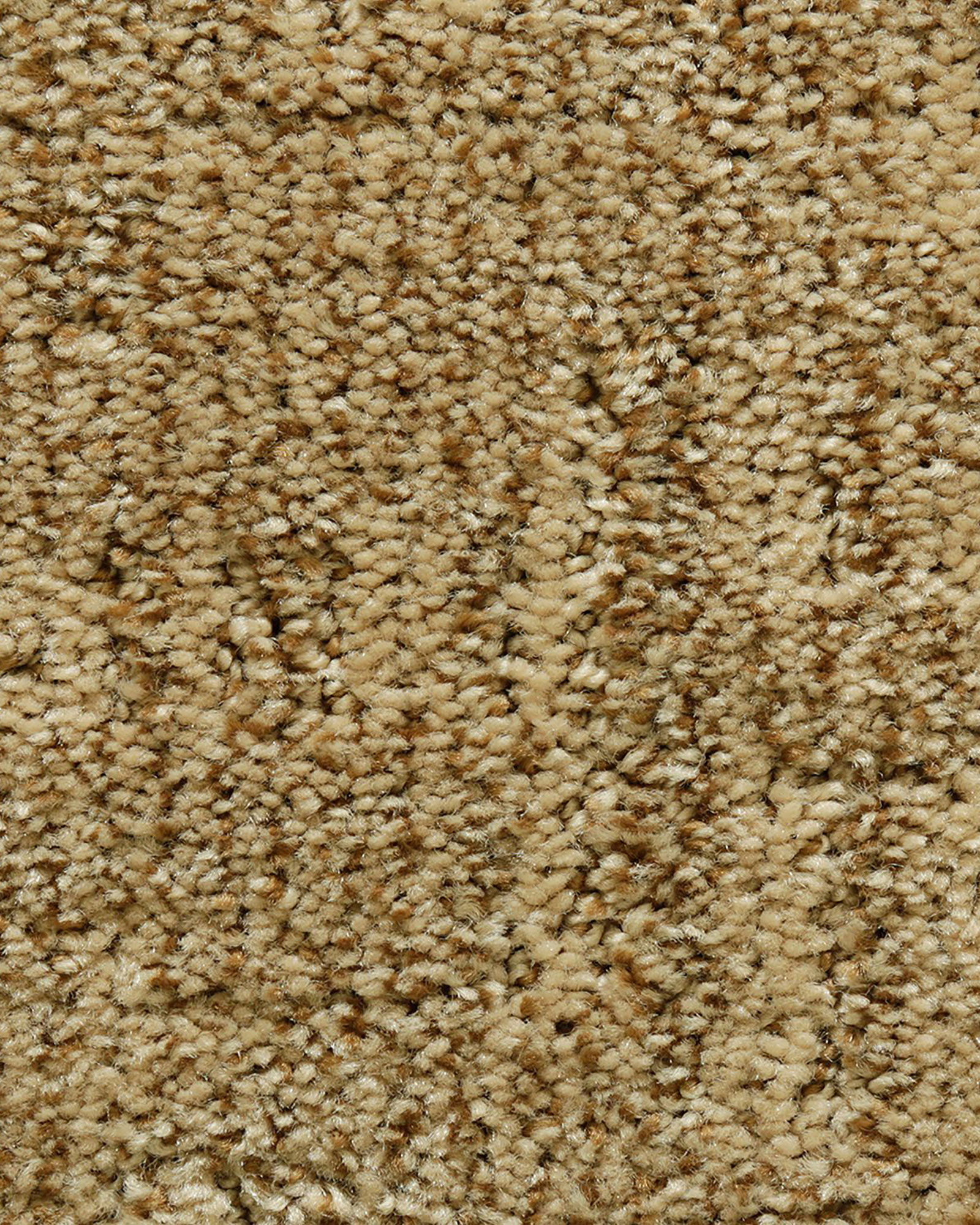 Mohawk Lavish Linen Fresh Earth | Carpet Exchange