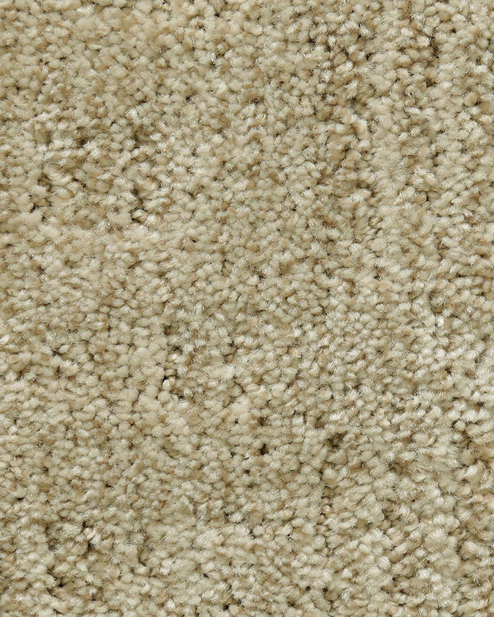 Mohawk EverStrand Lavish Linen Serenity | Carpet Exchange