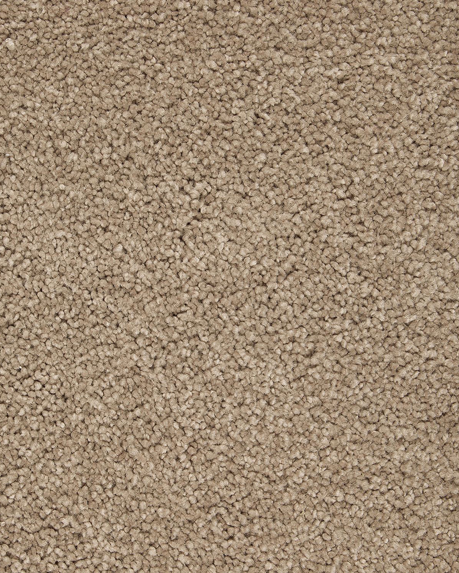 Mohawk Mellow Retreat Tudor Brown | Carpet Exchange