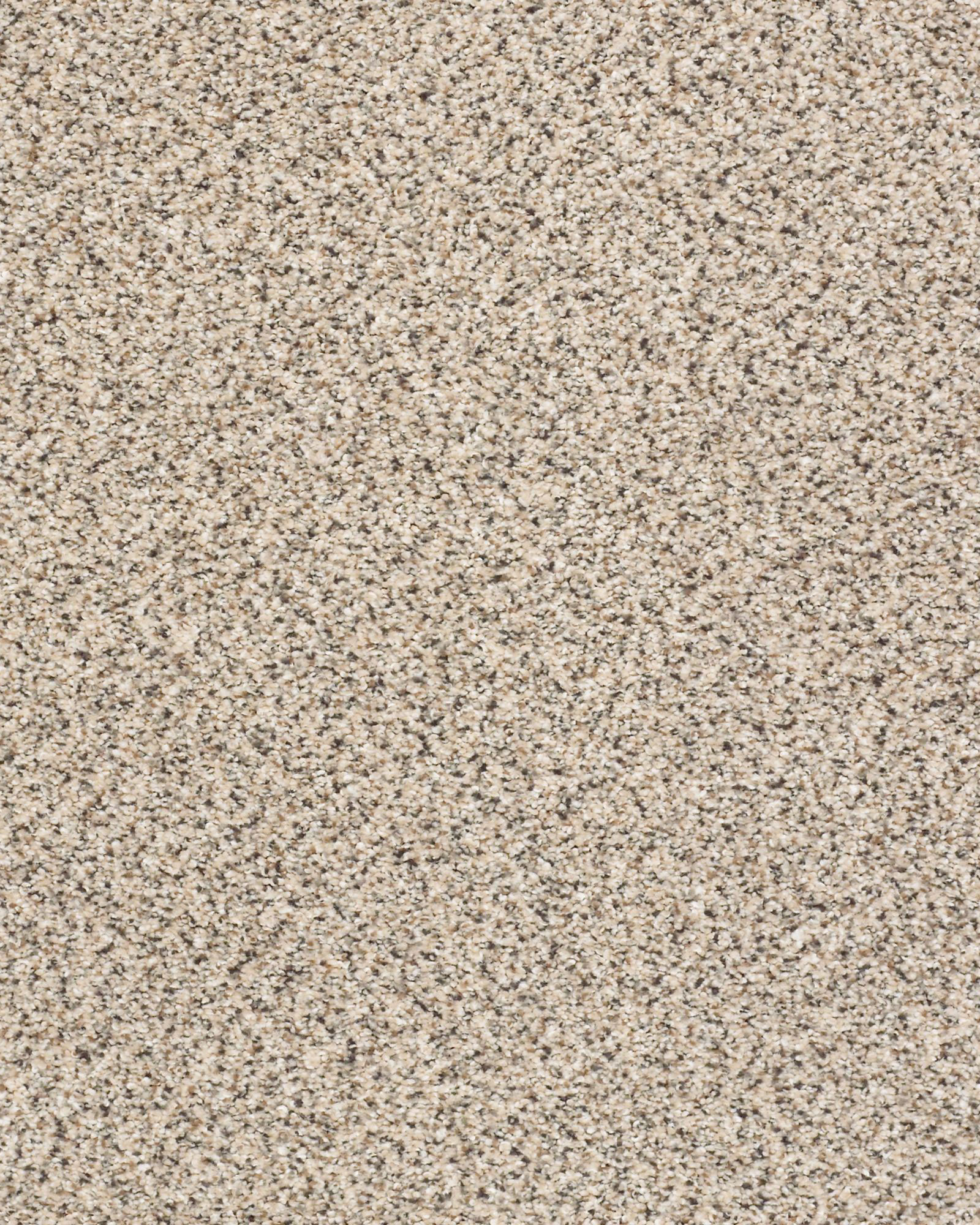 Shaw Monument Luna | Carpet Exchange