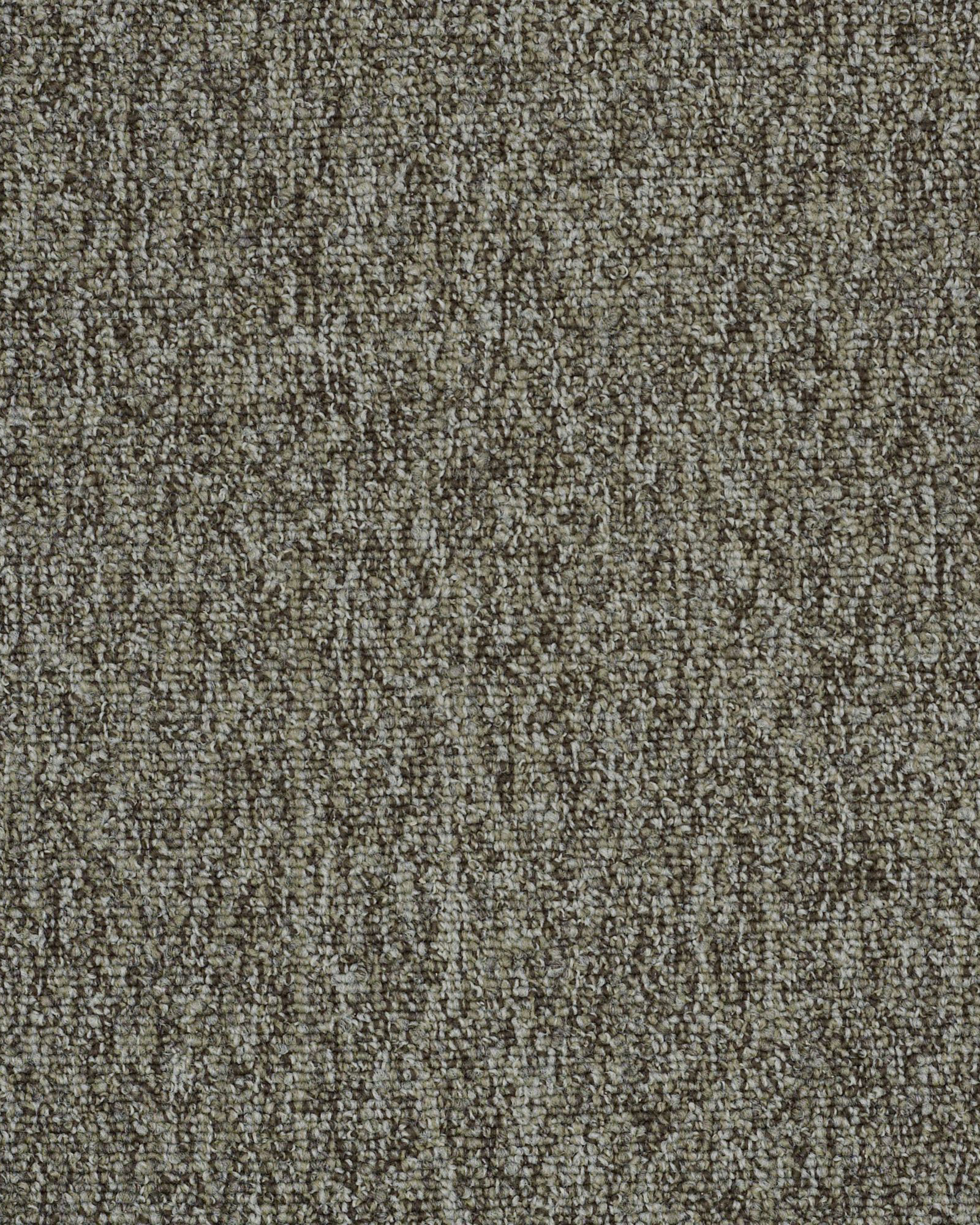 Philadelphia Multiplicity Cluster | Carpet Exchange