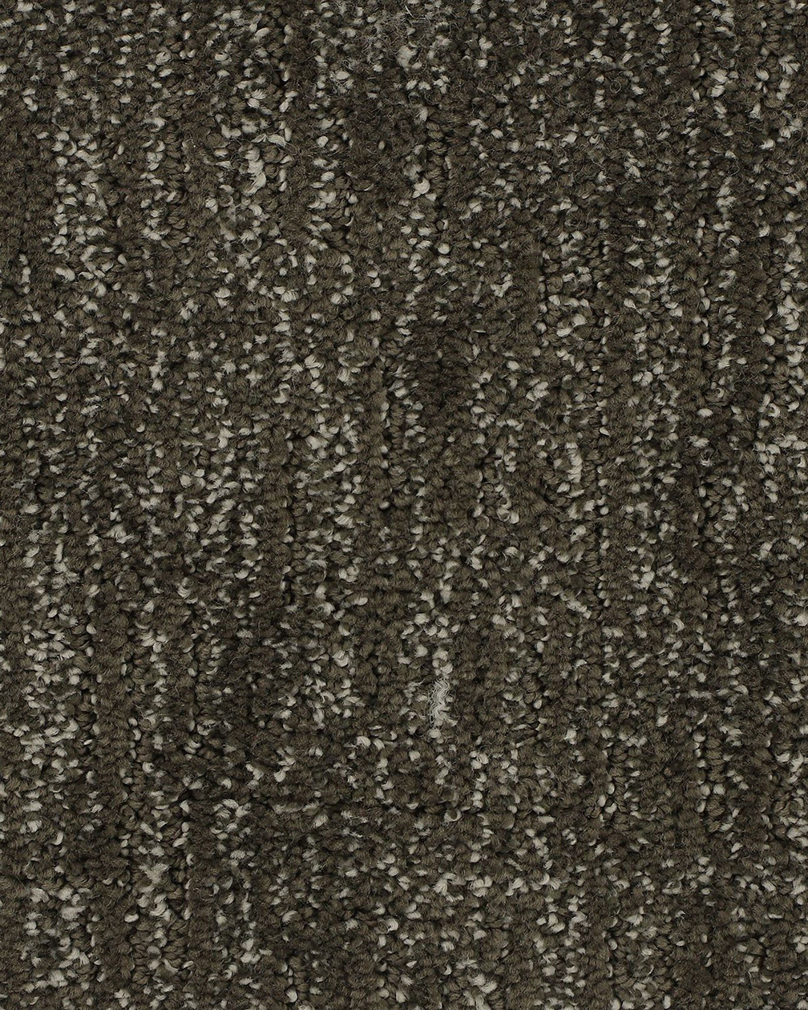Mohawk SmartStrand Natural Victory Dakota | Carpet Exchange