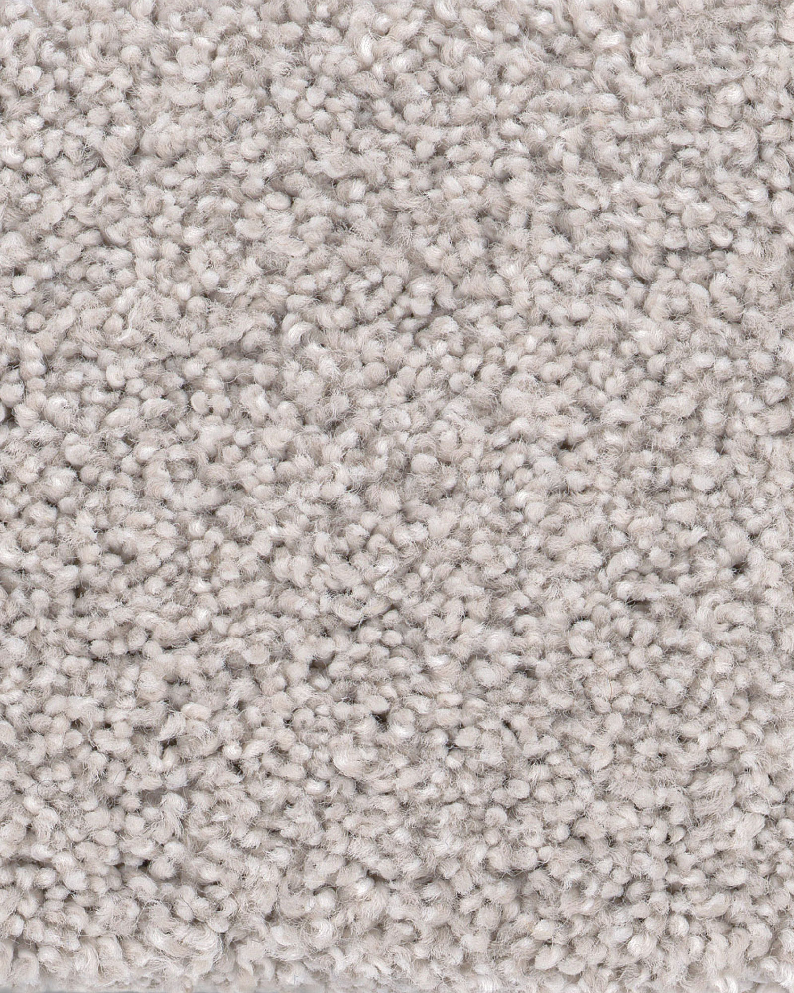 Shaw Oracle Minimal | Carpet Exchange