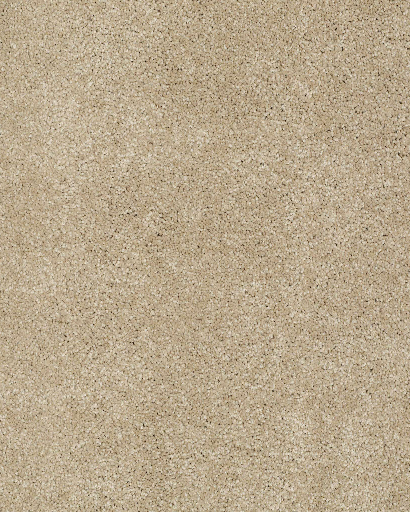 Shaw E9301 Hillcrest II Almond Tone | Carpet Exchange