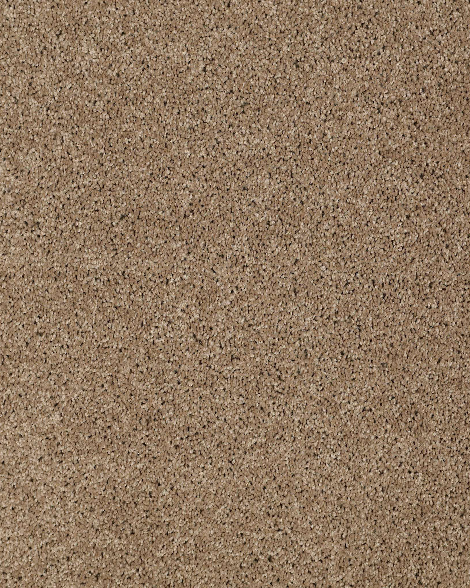 Shaw E9301 Hillcrest II Briar | Carpet Exchange