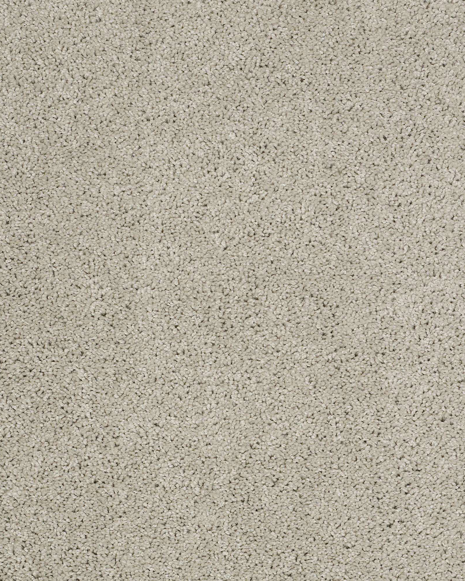 Shaw E9301 Origins II Cold Water | Carpet Exchange