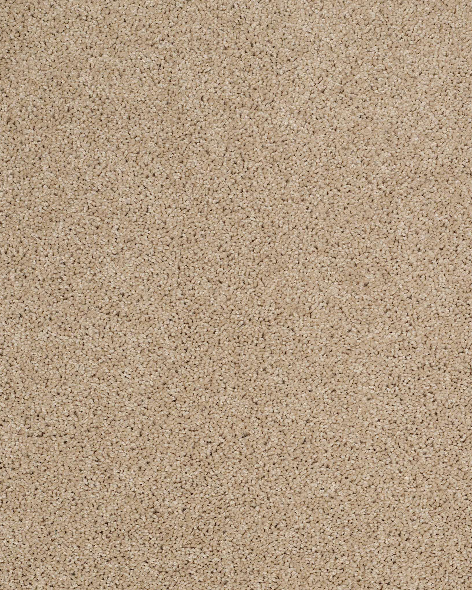 Shaw E9301 Hillcrest II Dunes | Carpet Exchange