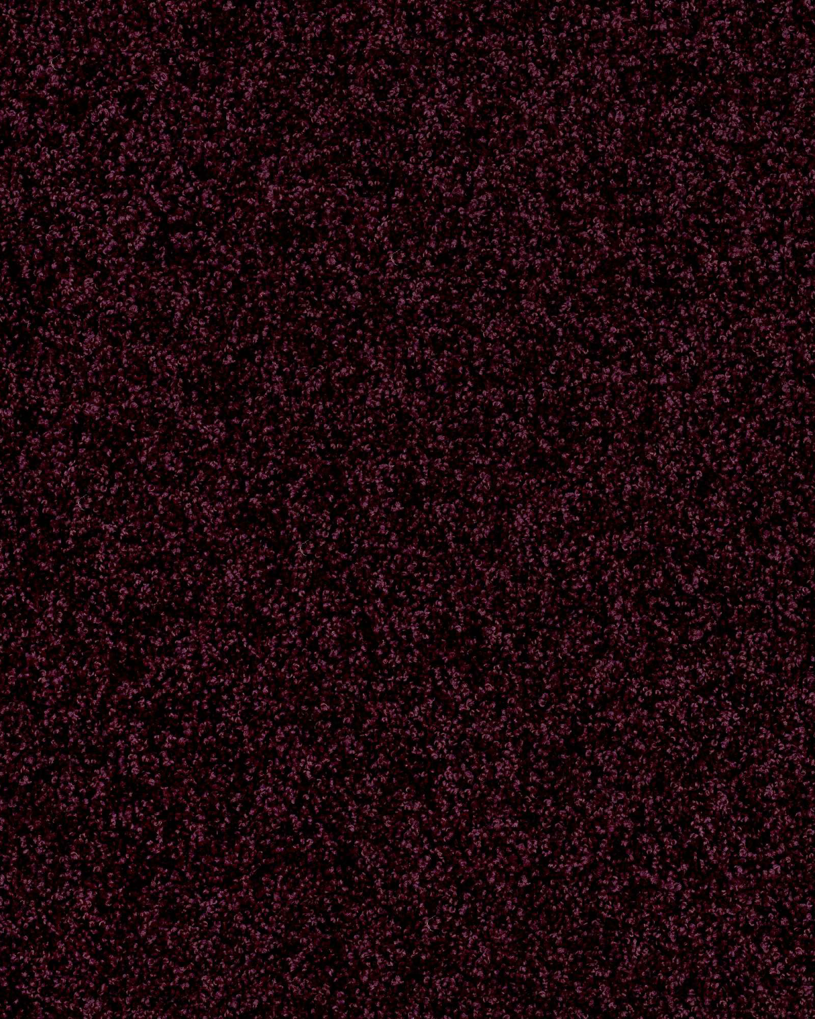 Shaw E9301 Hillcrest II Grape Fizz | Carpet Exchange