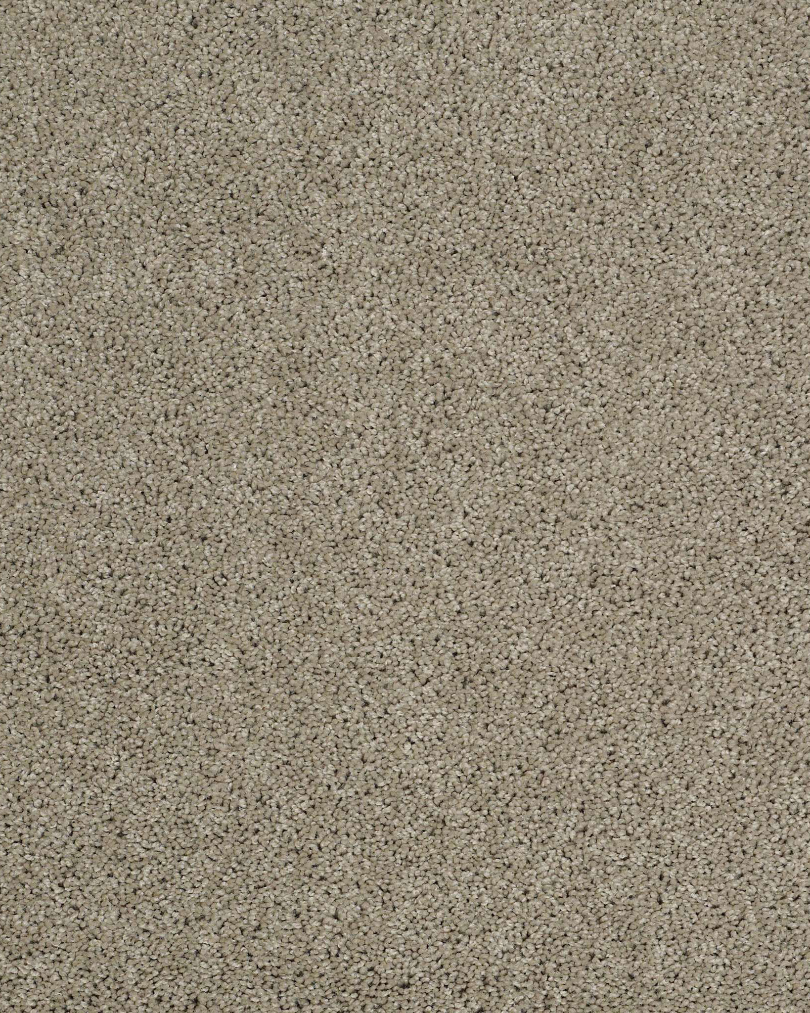 Shaw E9301 Hillcrest II Gray Flannel | Carpet Exchange