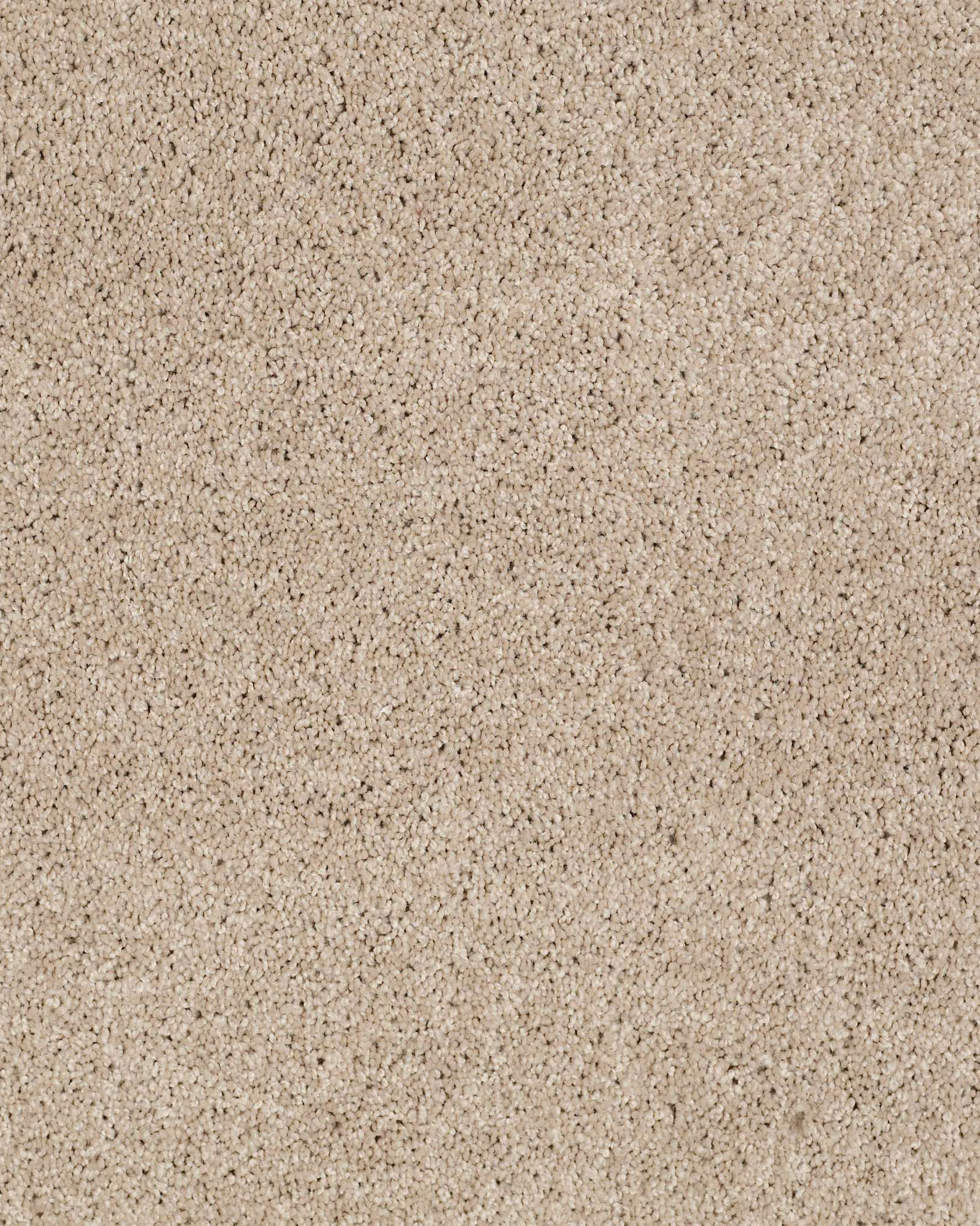 Shaw E9301 Origins II Ice Coffee | Carpet Exchange