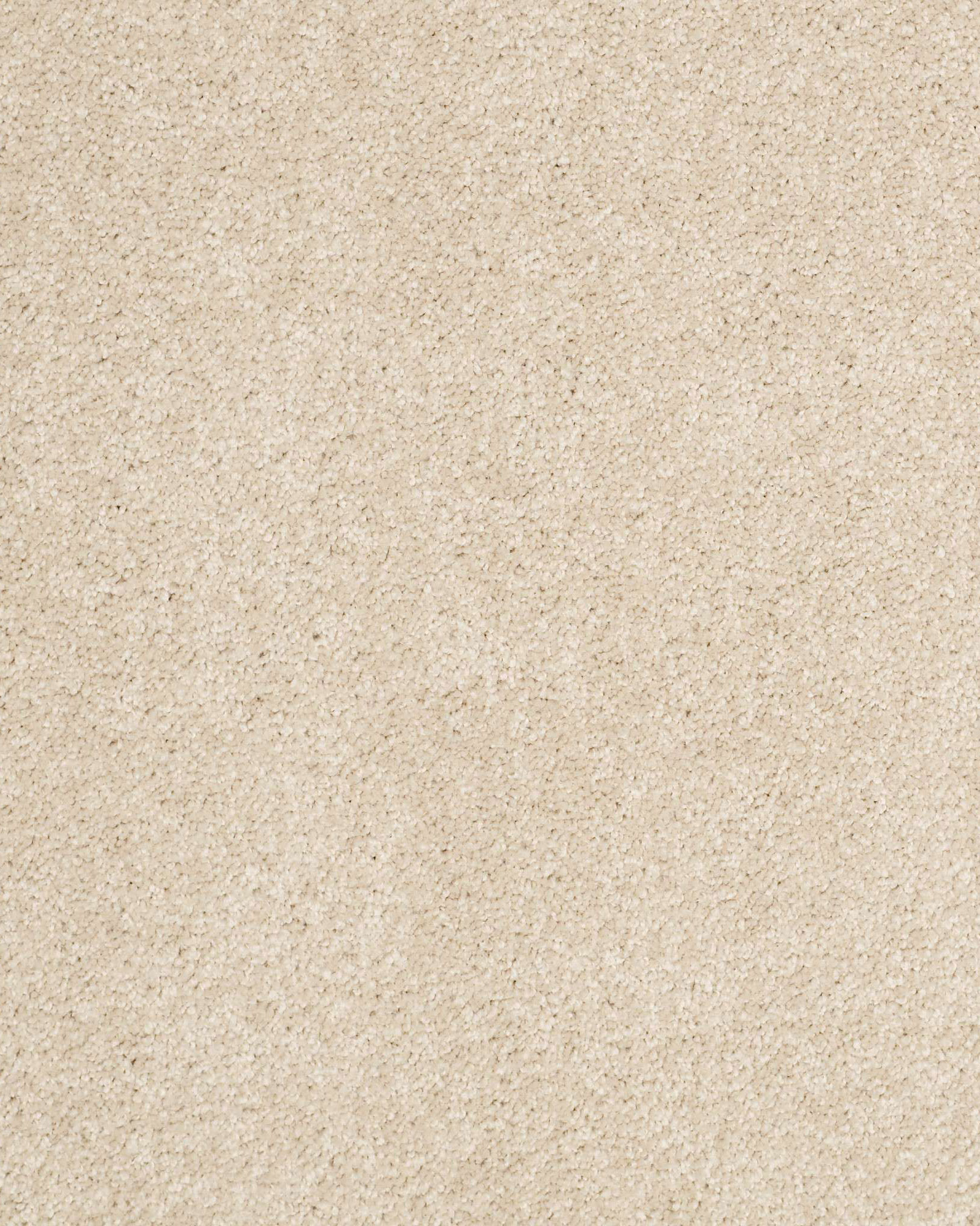 Shaw E9301 Hillcrest II Rice Paper | Carpet Exchange