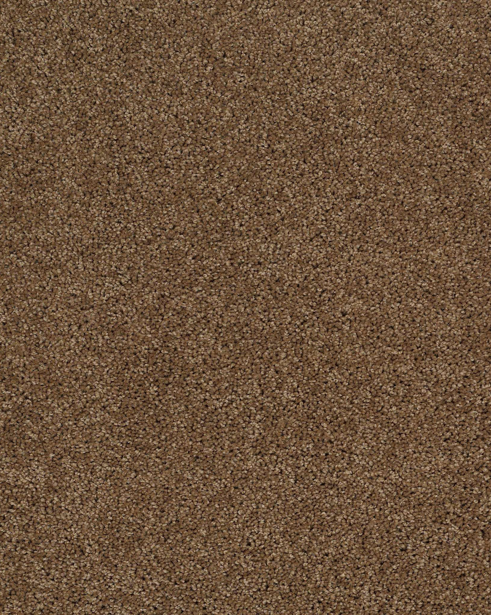 Shaw E9301 Origins II Travertine | Carpet Exchange