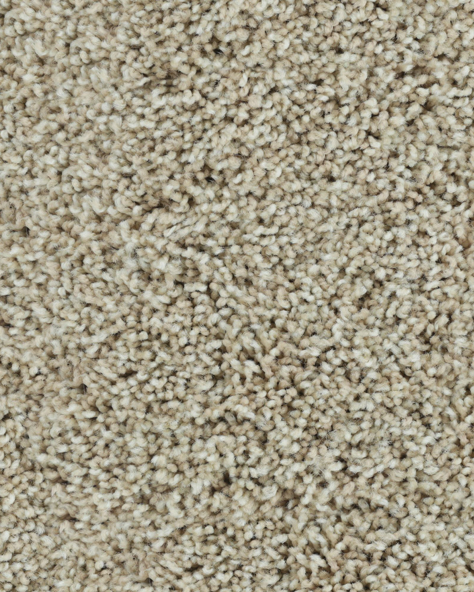 Karastan K8933 Posh Beauty Cameo Stone | Carpet Exchange