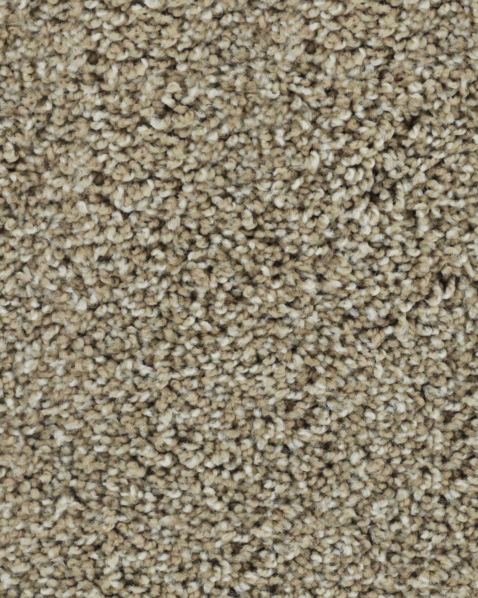 Karastan K8933 Posh Beauty Putty | Carpet Exchange