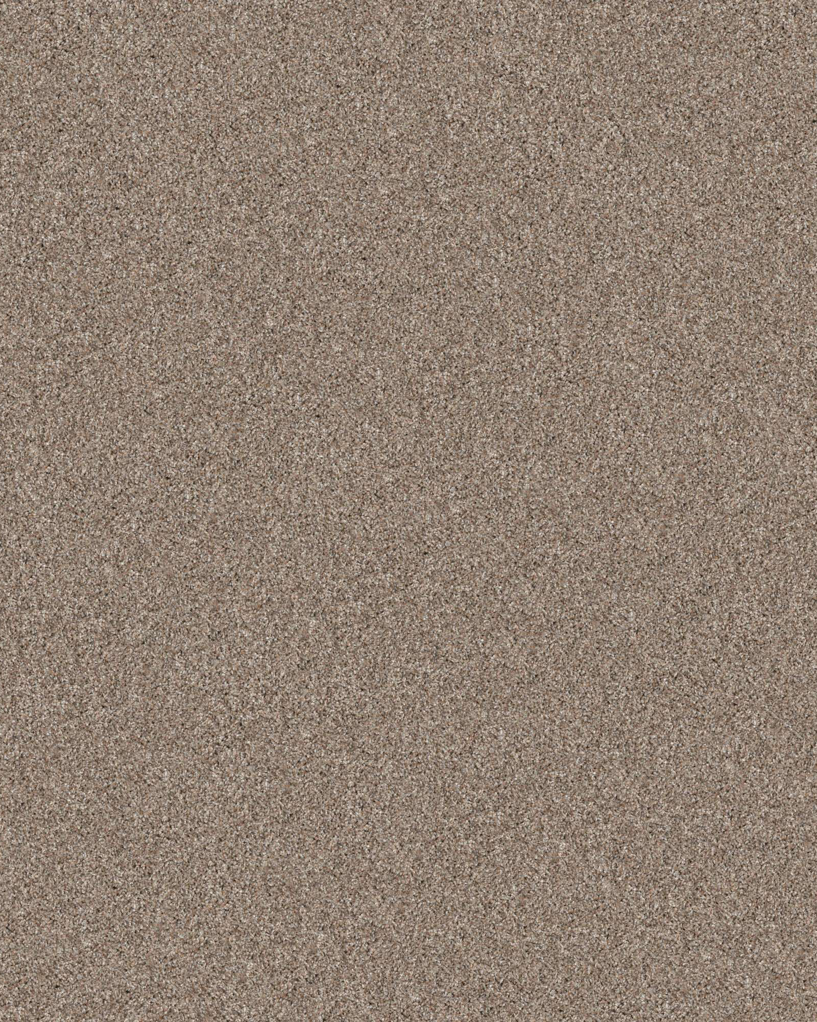 Shaw 5E686 Refined Chic Subtle Clay | Carpet Exchange