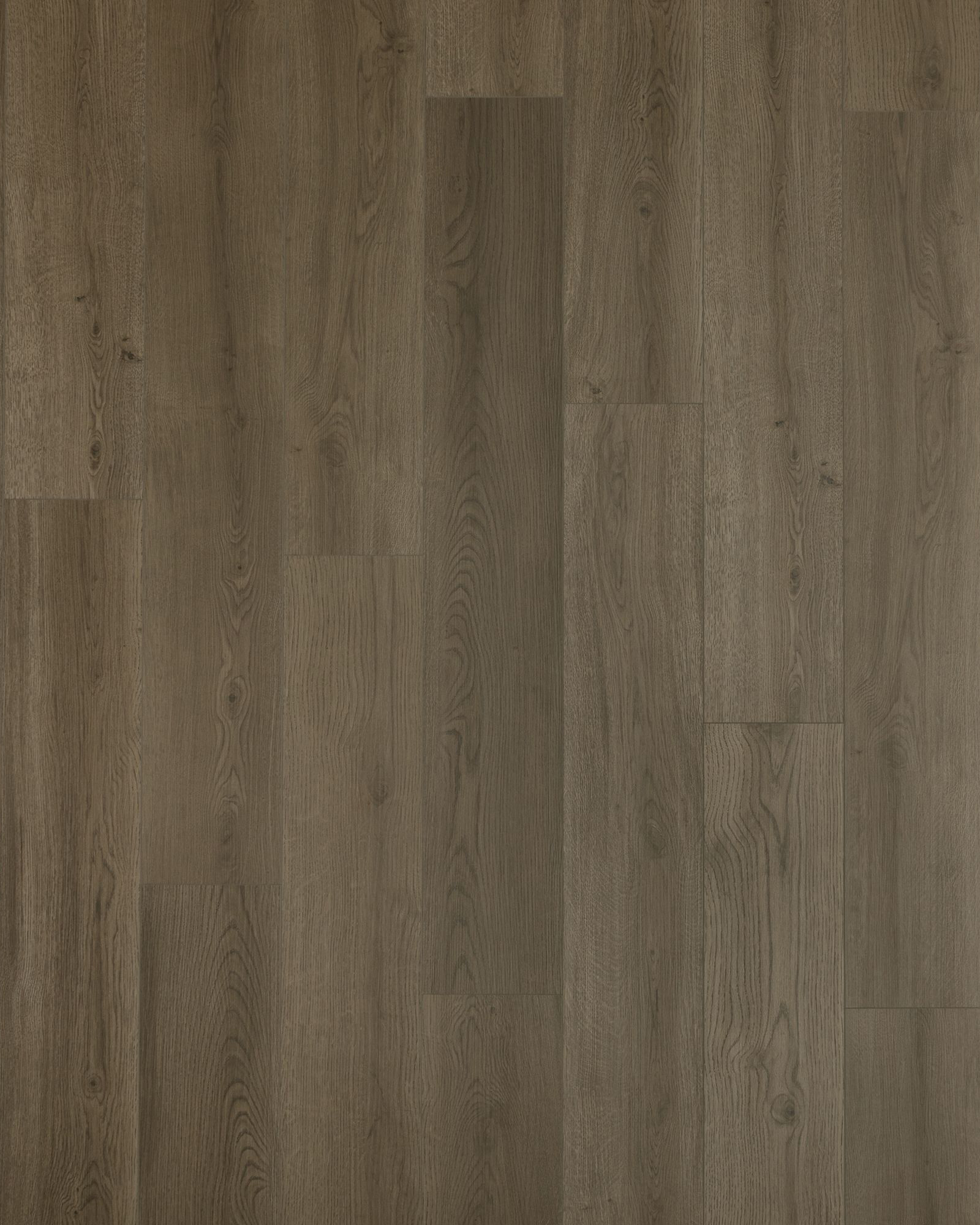 Covington Falls Windmont Luxury Vinyl | Carpet Exchange