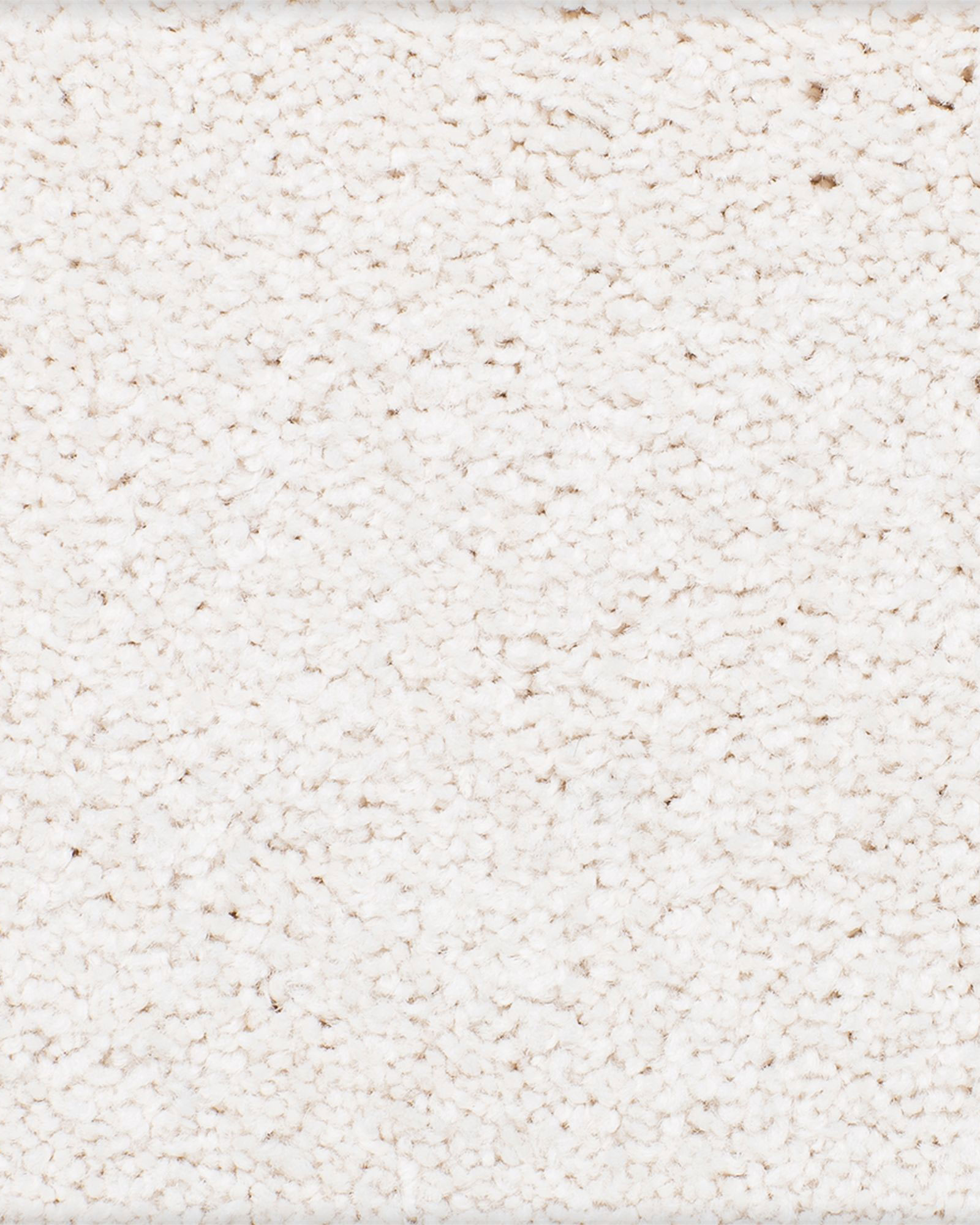 Karastan K8920 Sheer Essence Colonial Ash | Carpet Exchange