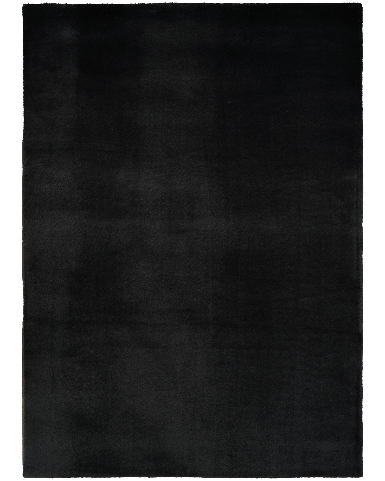 Nourison SFF01 Black 4x6 Area Rug | Carpet Exchange
