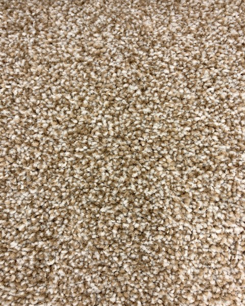 Tonal 40 Ancient Treasure 38oz Carpet | Carpet Exchange