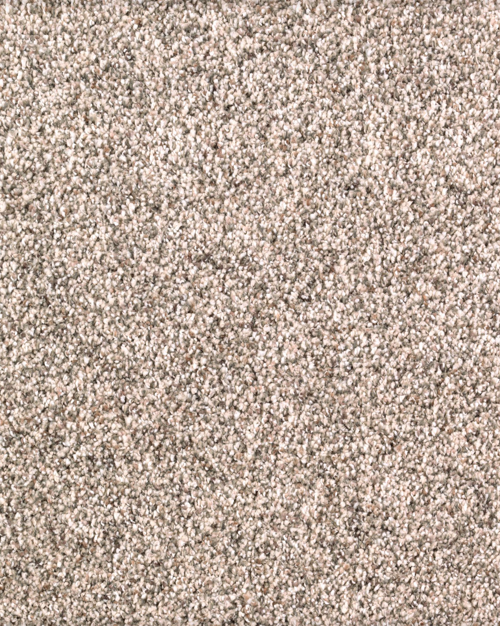 Karastan Style Etiquette Softened Ash | Carpet Exchange