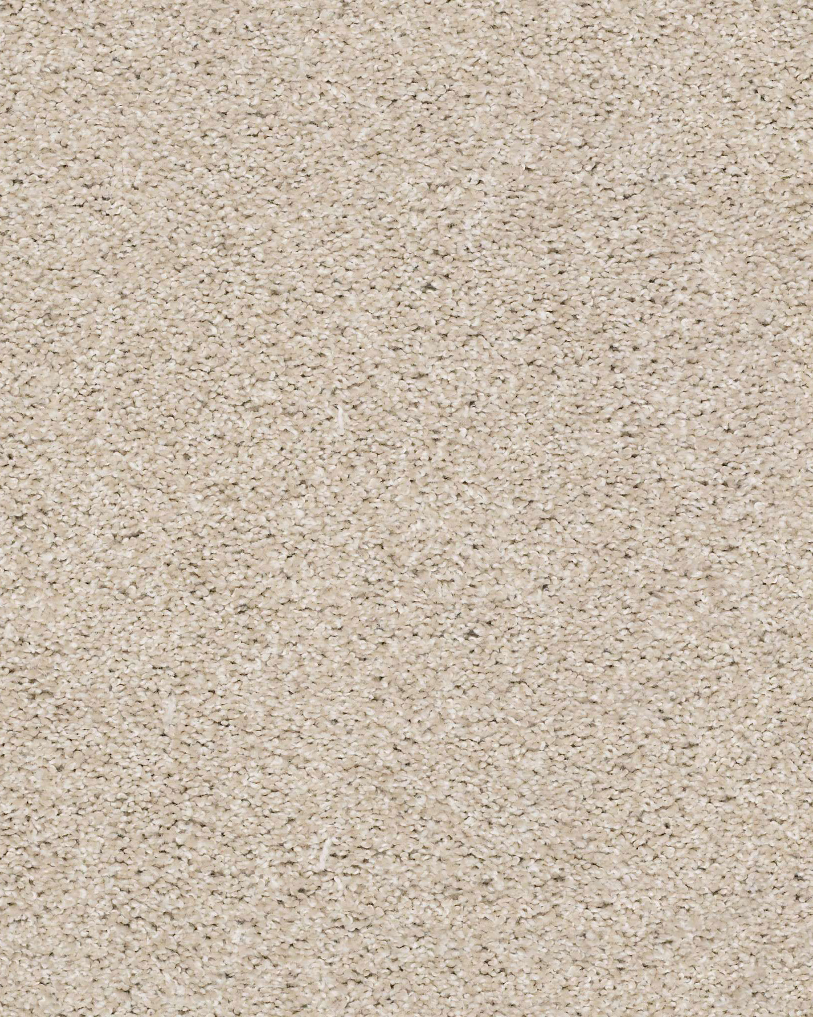 Shaw 5E289 Suave French Buff | Carpet Exchange