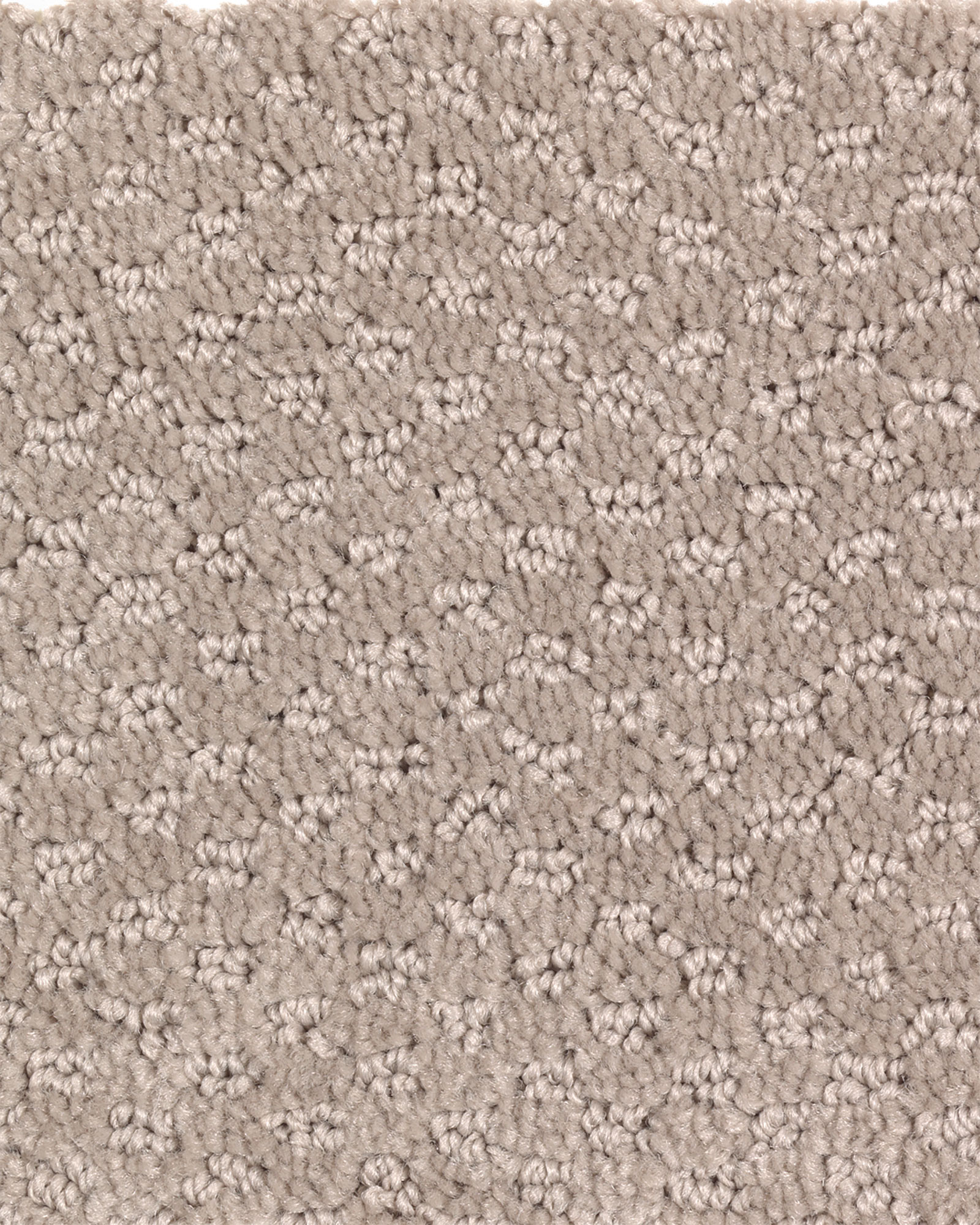 Mohawk Subtle Allure Willow Bark | Carpet Exchange