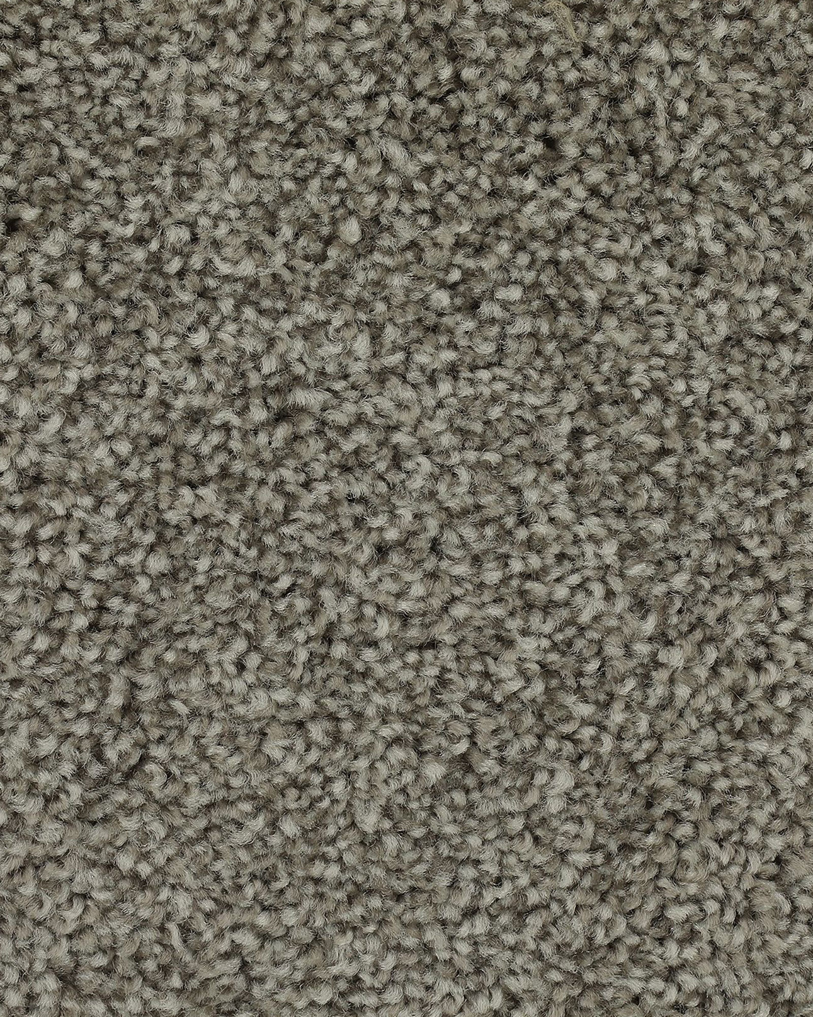 Mohawk Superior Selection Taupe Shadow | Carpet Exchange