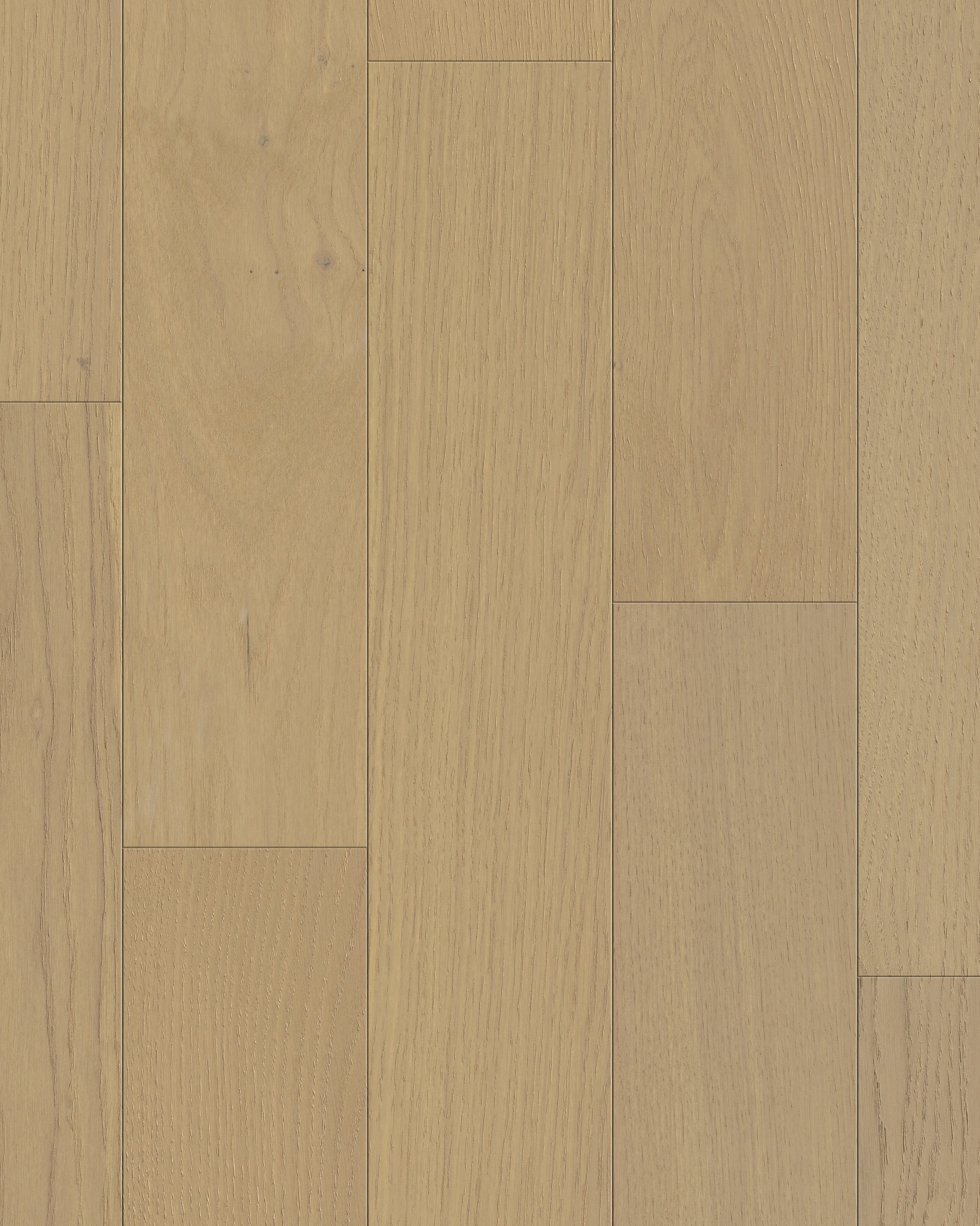 Fifth Avenue Oak Carnegie White Oak Hardwood | Carpet Exchange