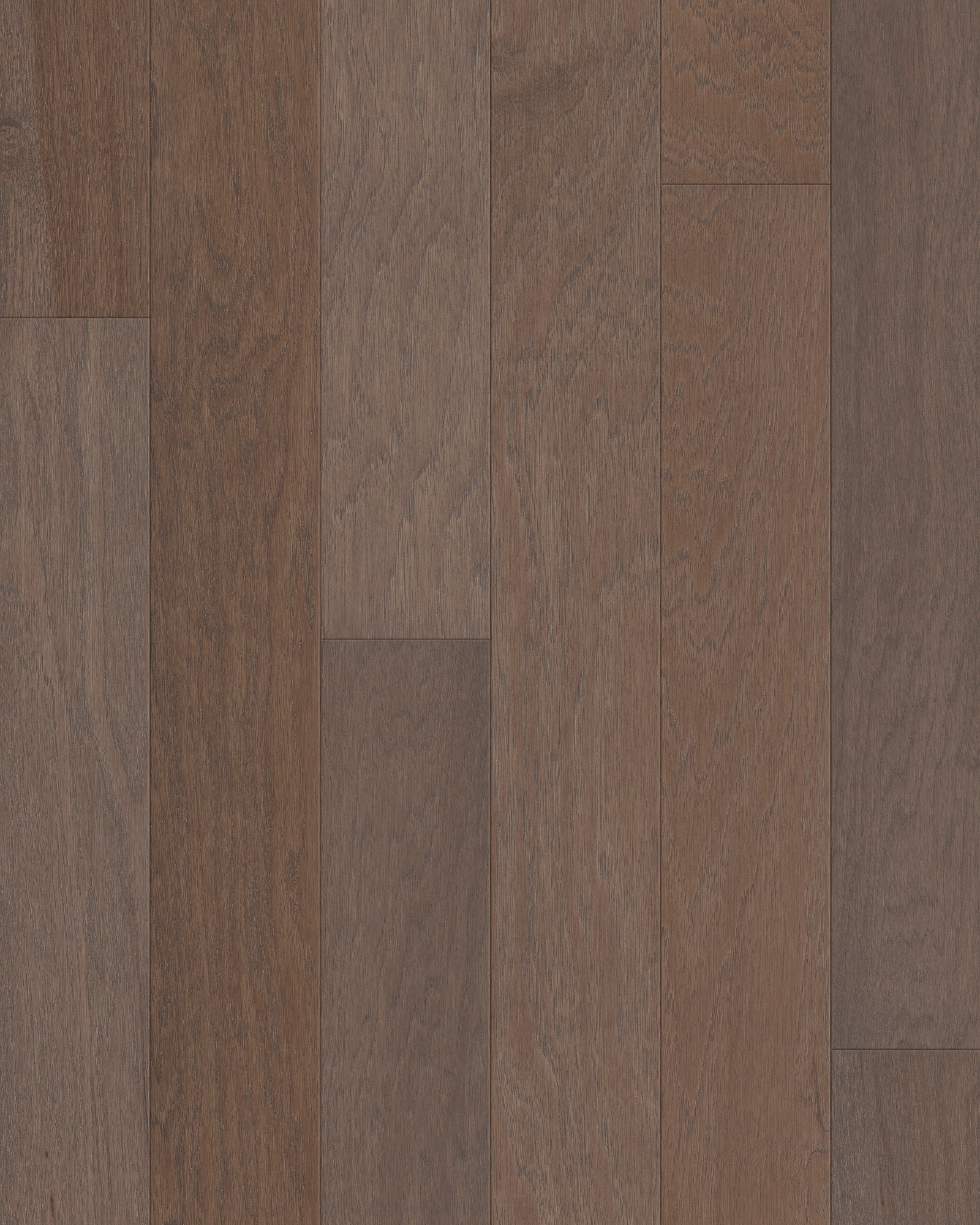 Shaw Northington Smooth Chestnut 5" Hickory Hardwood