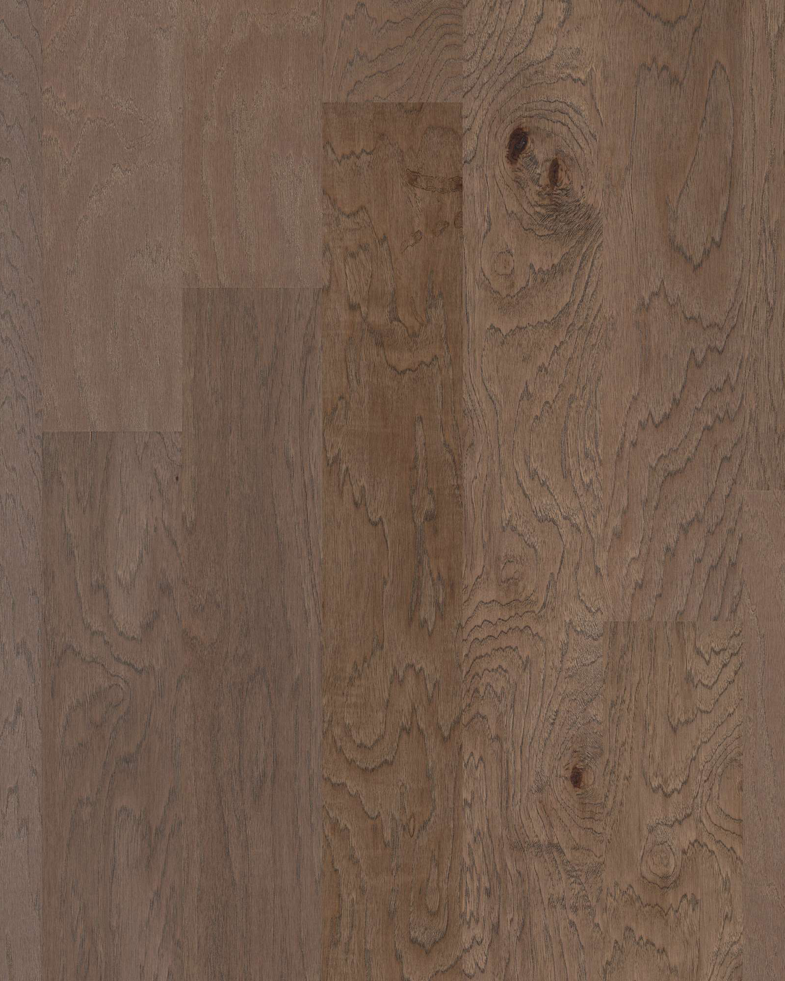 Shaw Alpine Hickory Morningside Hardwood | Carpet Exchange