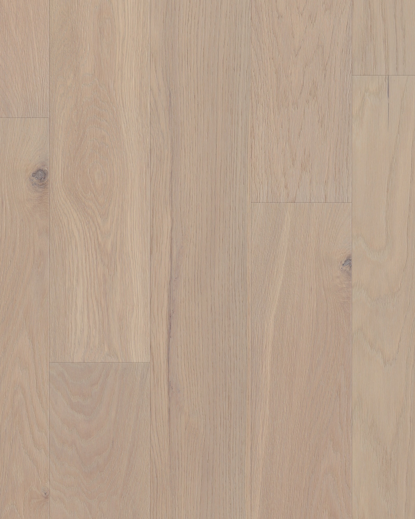 Shaw Americana Oak Anthem 7" Hardwood | Carpet Exchange