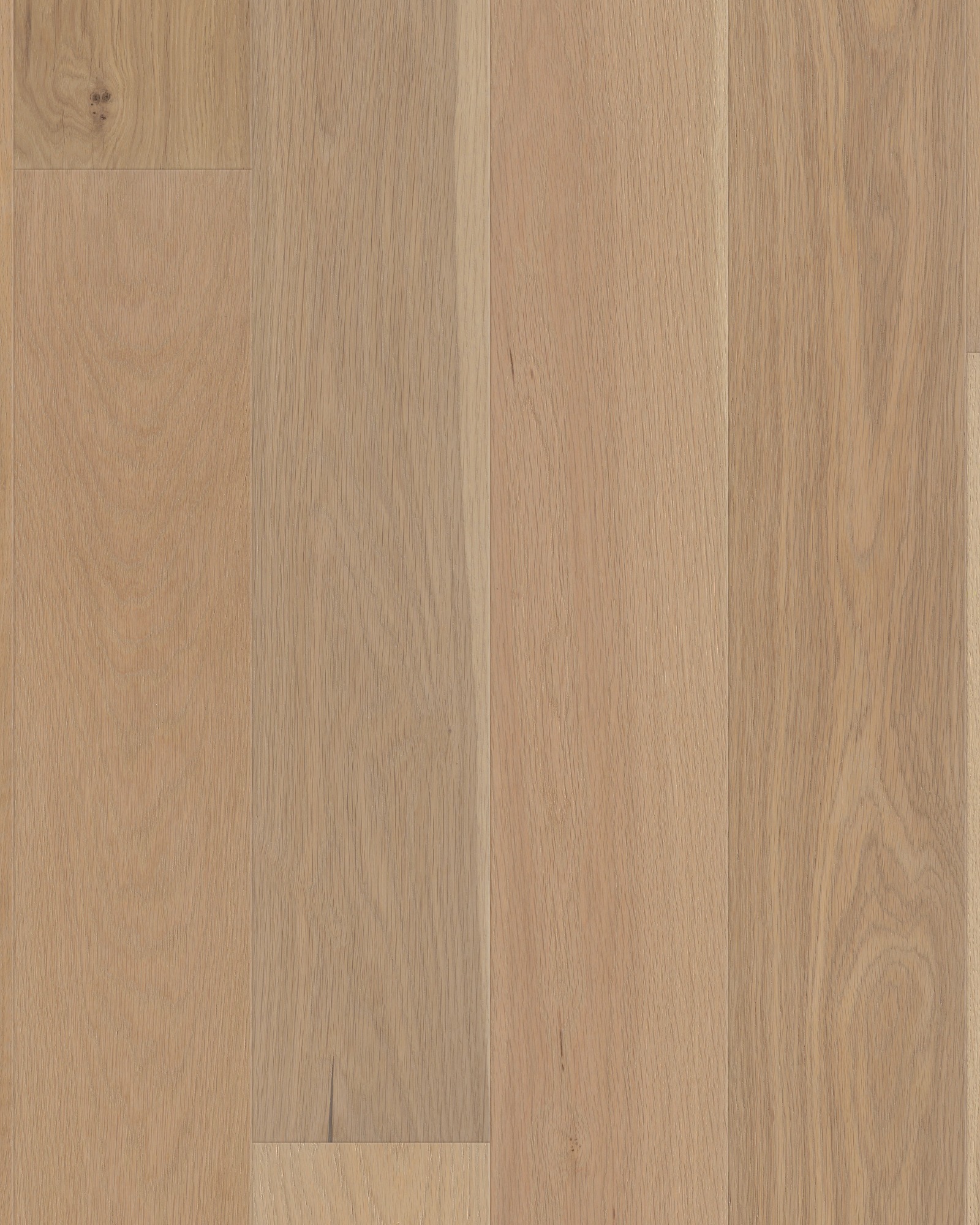 Shaw Americana Oak Heritage 7" Hardwood | Carpet Exchange