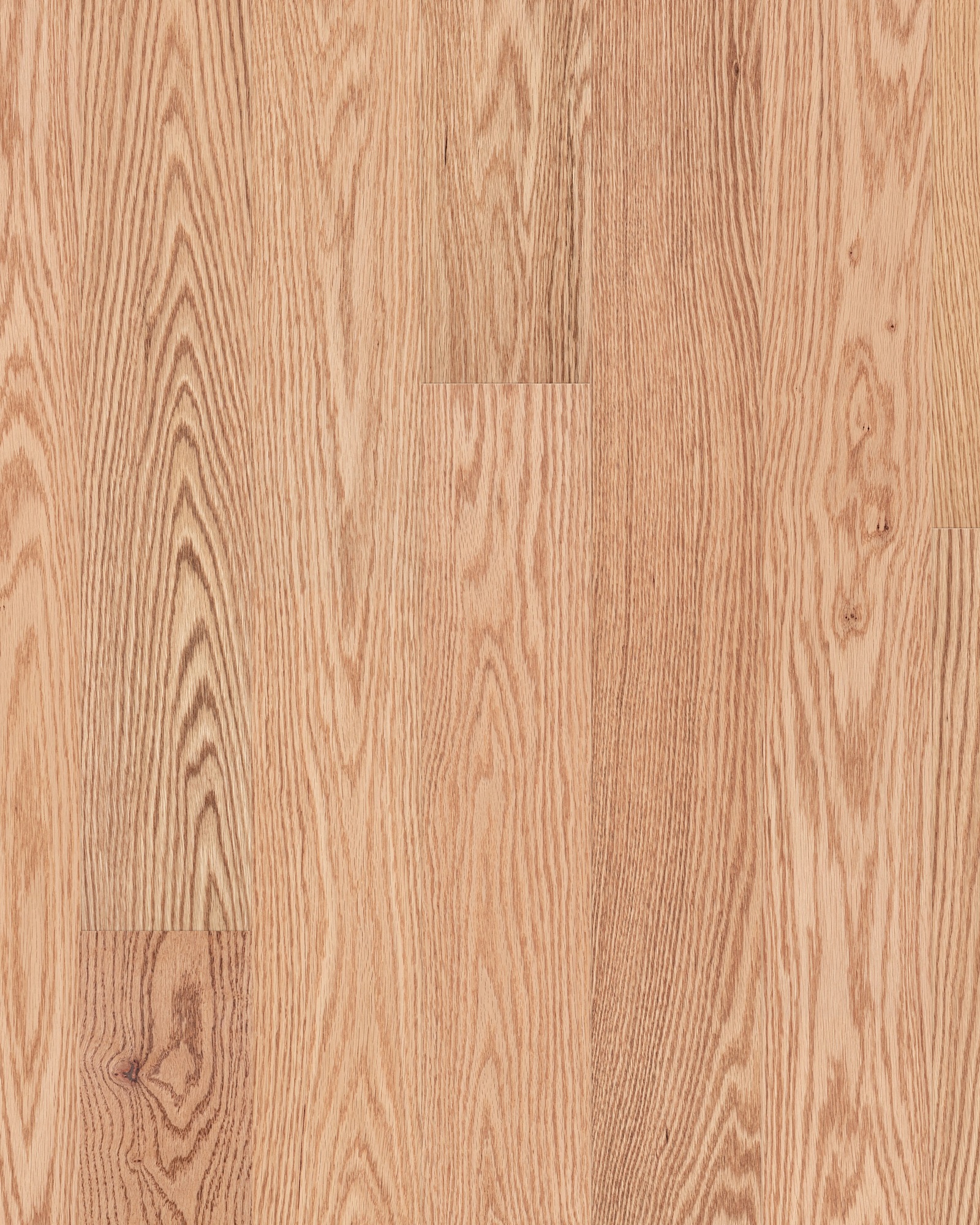 Shaw Natural Classics Red Oak 5" Hardwood | Carpet Exchange