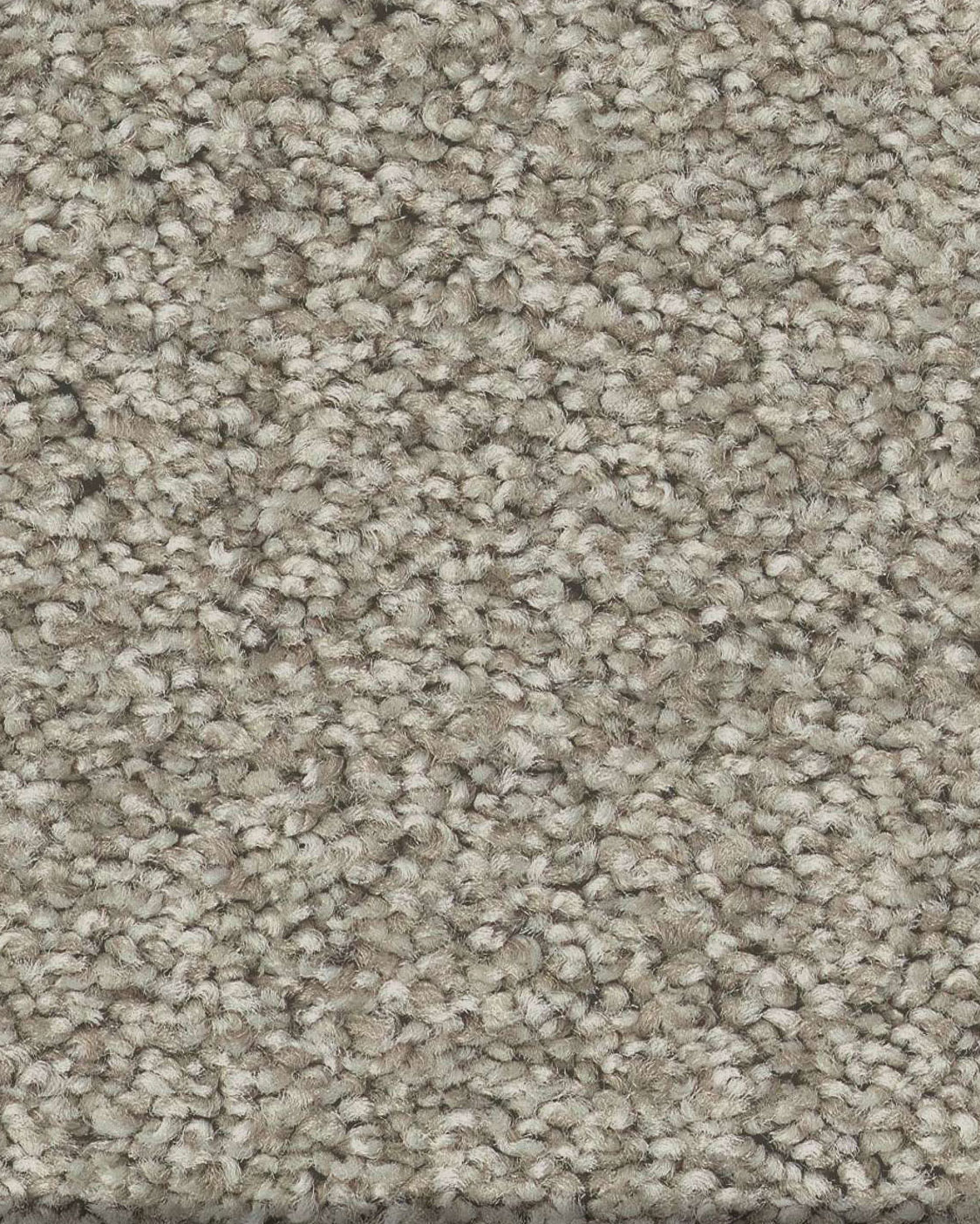 Shaw Tonal Comfort I
