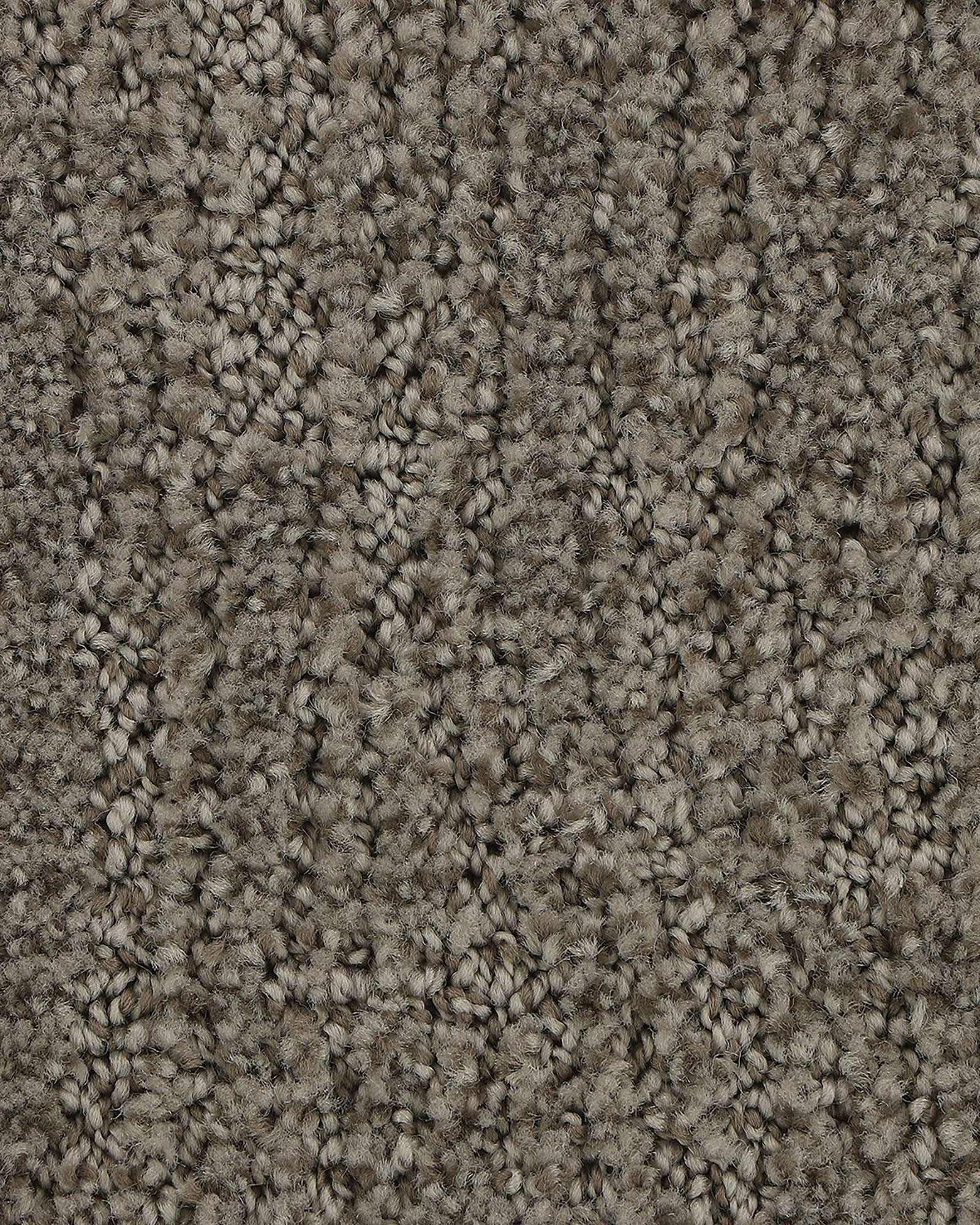 Mohawk 3C06 Trendy Charm Mist | Carpet Exchange