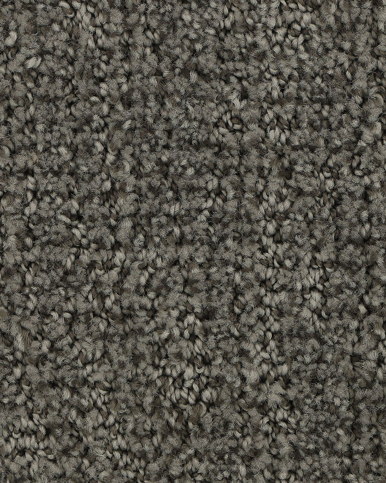 Mohawk 3C06 Trendy Charm Shale | Carpet Exchange