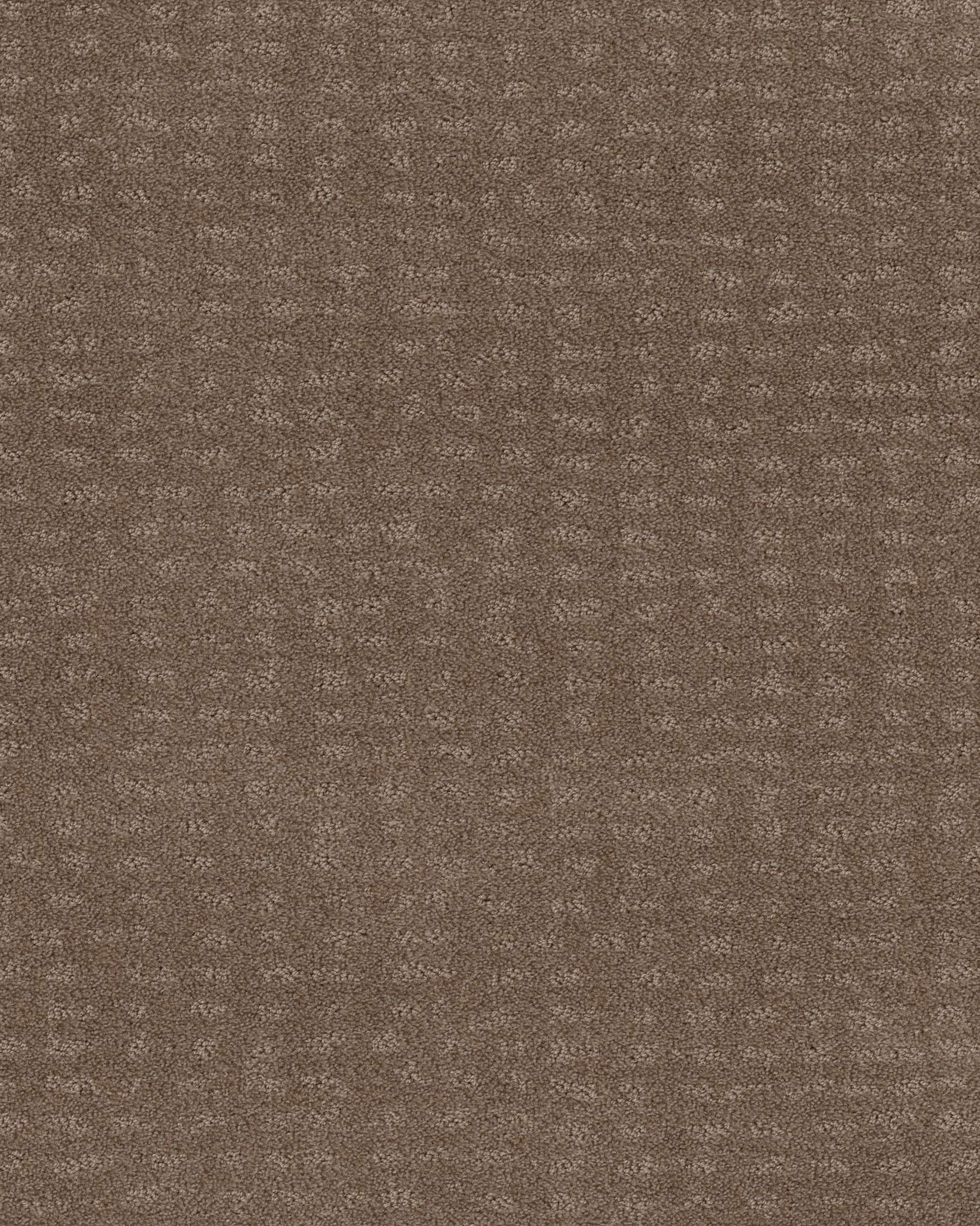 Shaw Trendy Raw Wood | Carpet Exchange