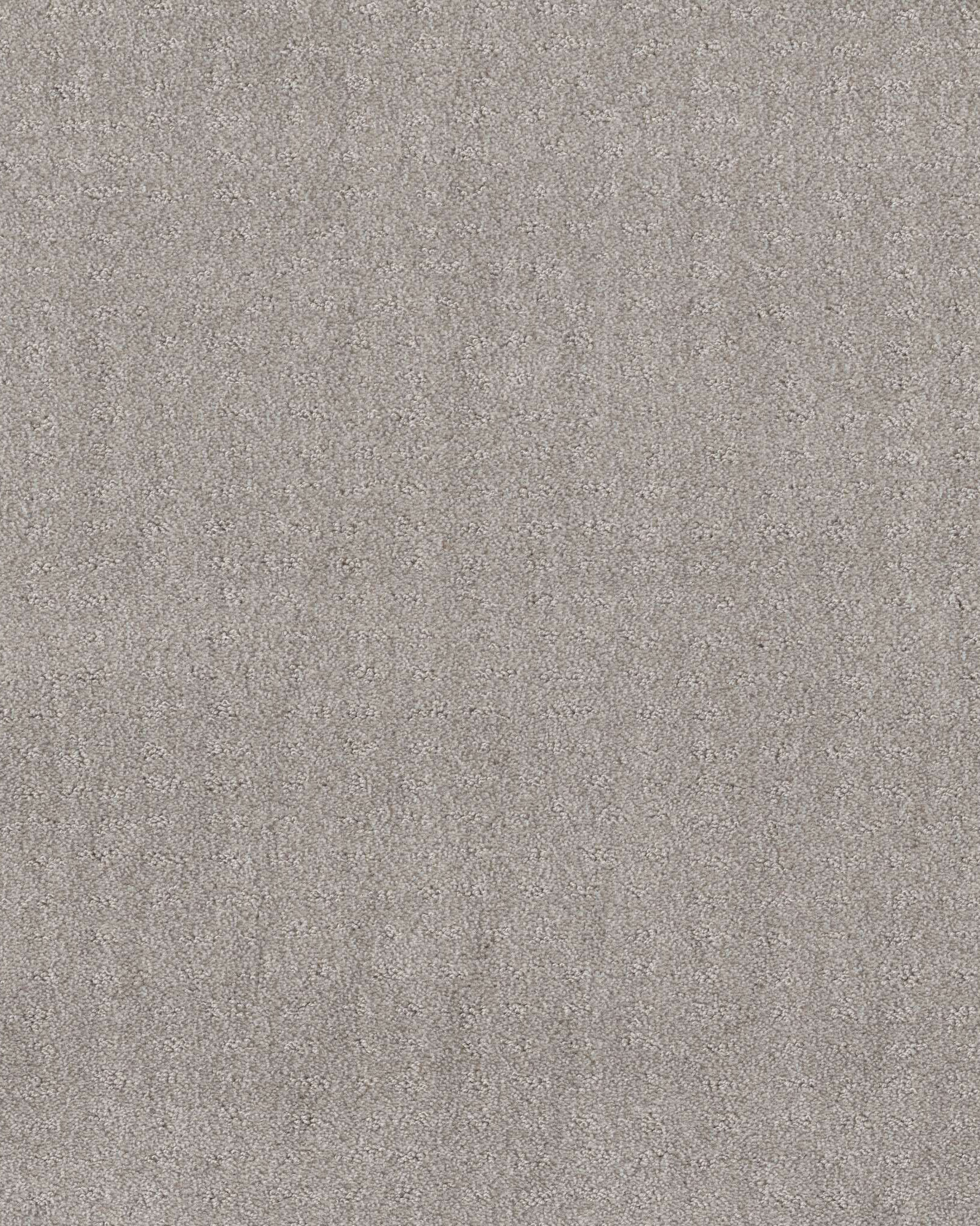 Shaw Trendy Silver Lining | Carpet Exchange